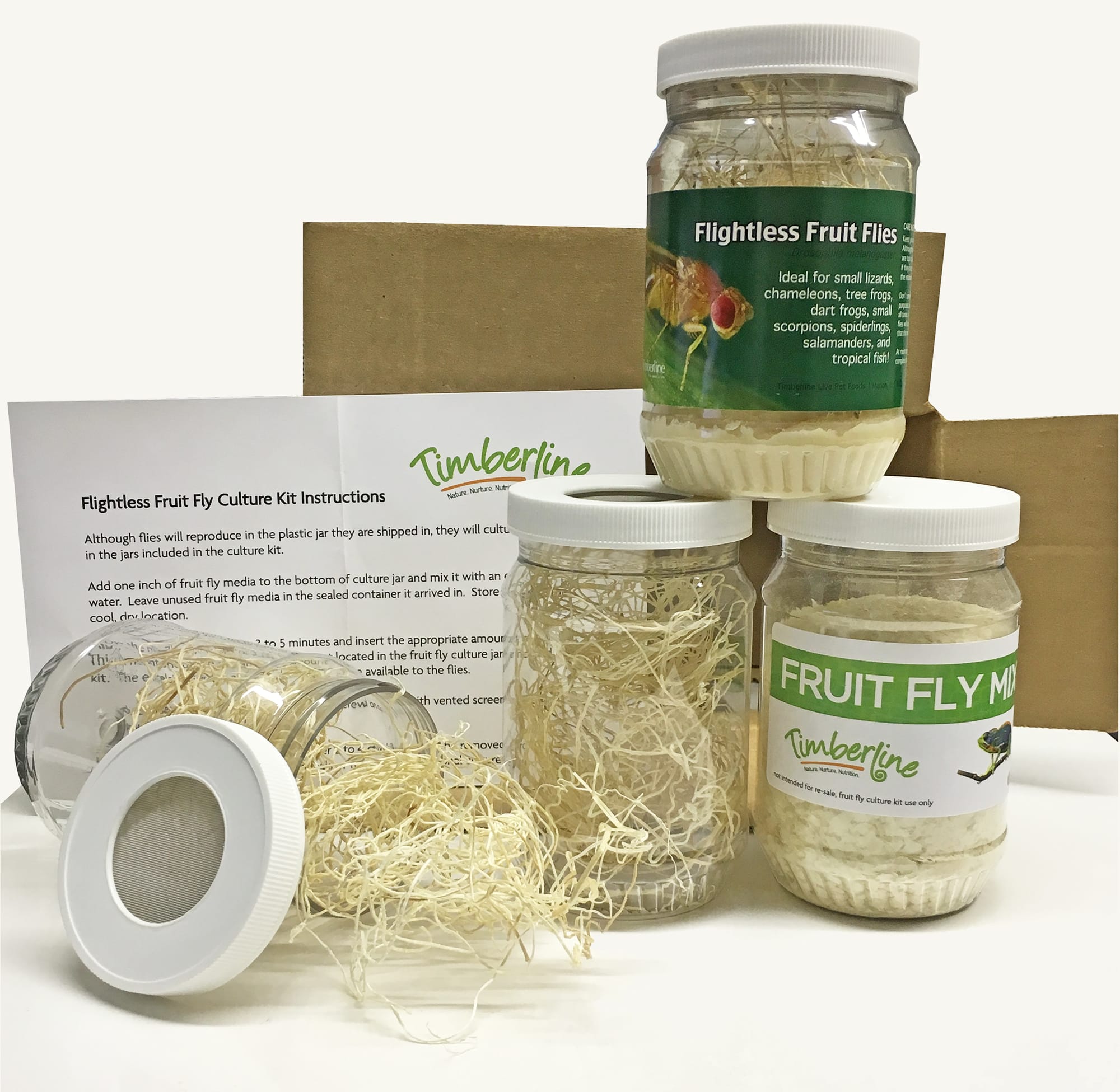 Flightless Fruit Flies For Sale - Culture Kit | Petco