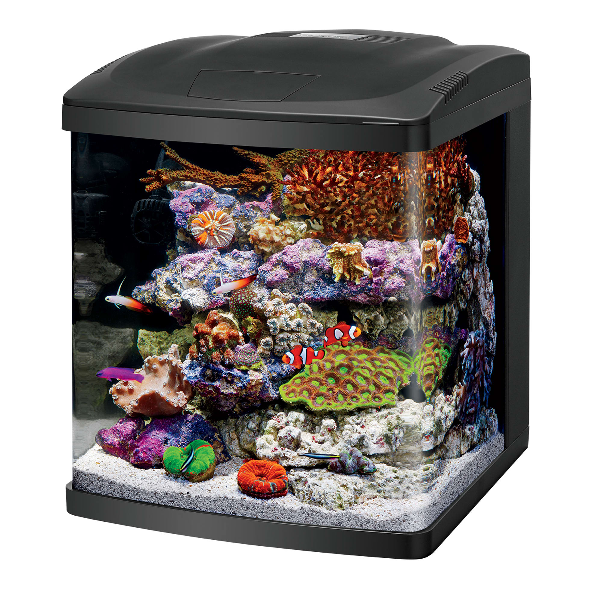 Coralife LED Biocube Aquarium, 16 Gallon | Petco