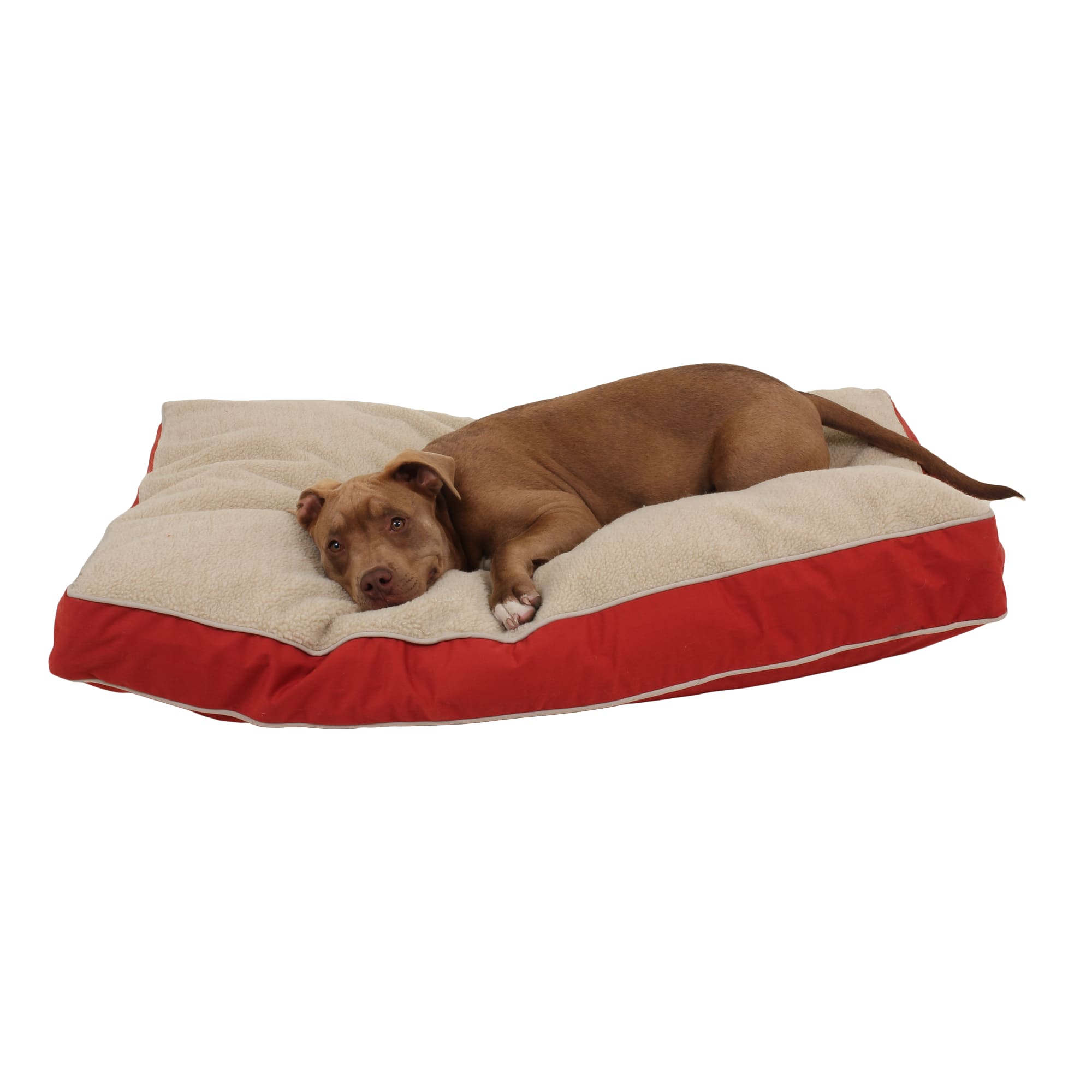 Carolina Pet Company Rectangular Napper with Berber Top in Canvas with ...