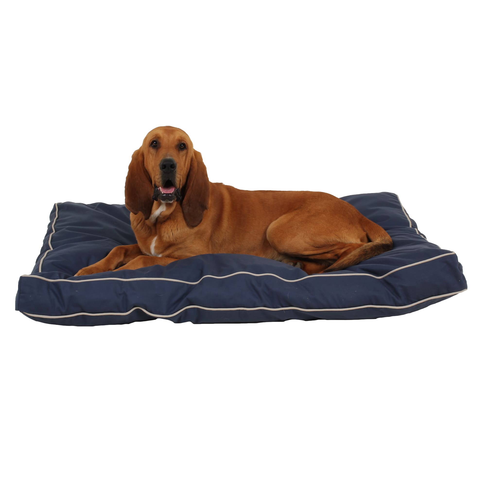 Carolina Pet Company Rectangular Napper in Canvas with Cording, 48" L X ...