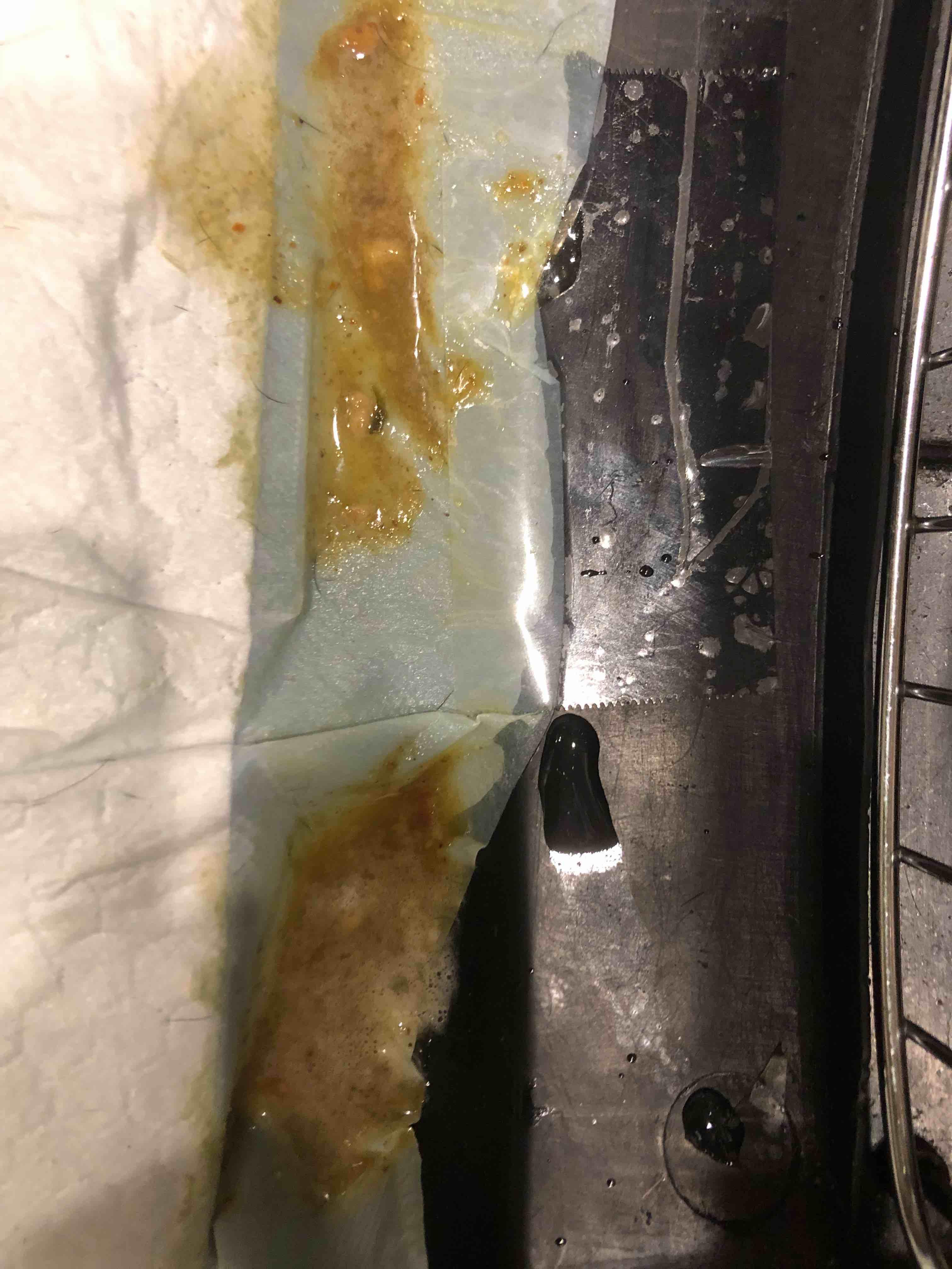 Woke up to a little vomit in lous crate. He also peed in it as well ...