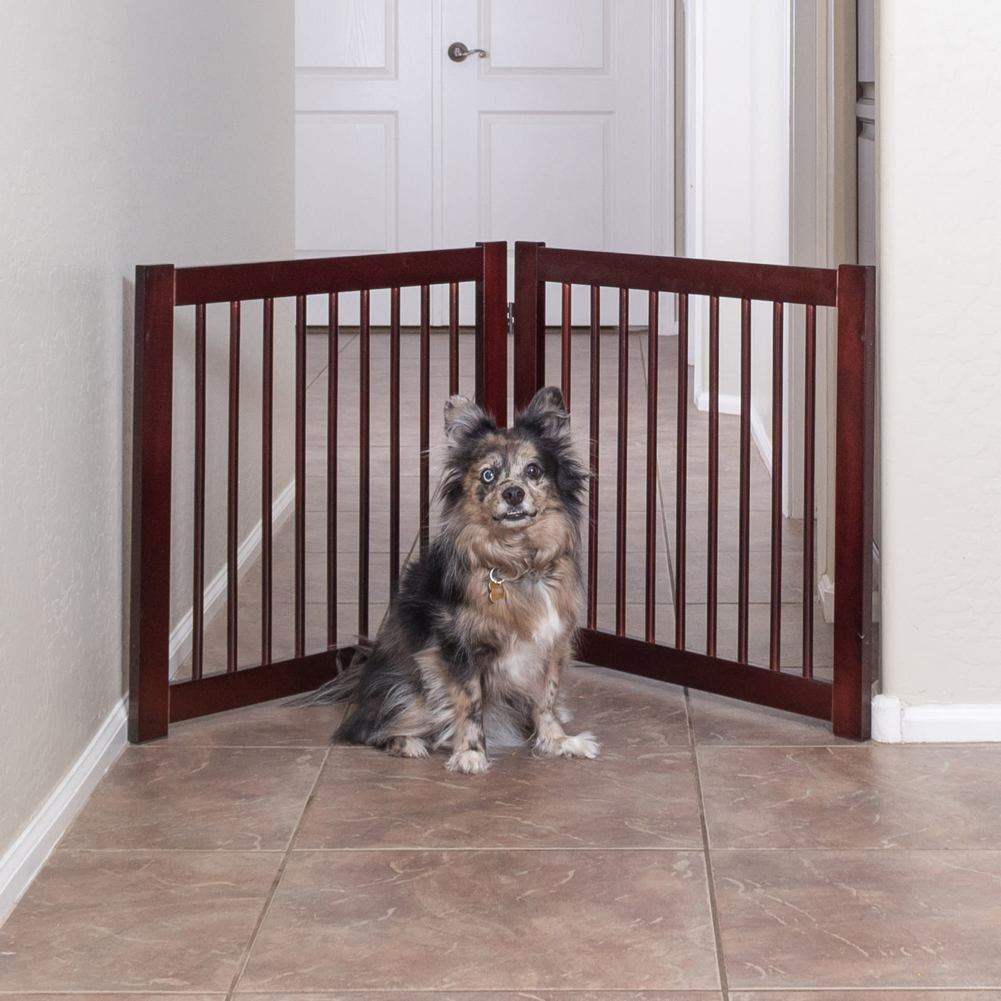 Primetime Petz 360 Configurable Pet Gate Extension Kit, 24" H | Petco