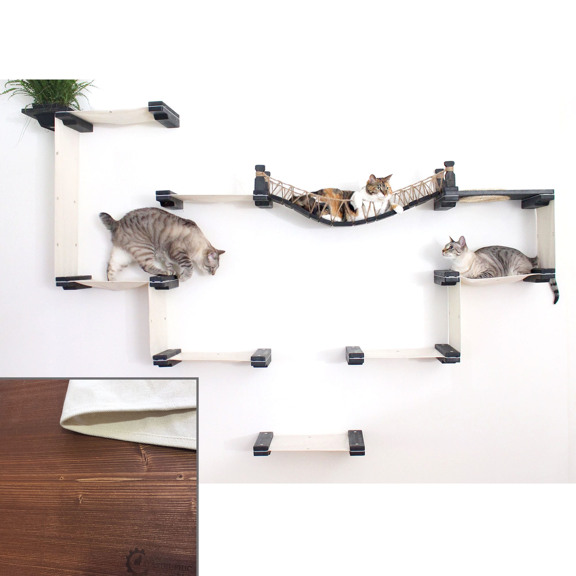 Cat Bridge | ubicaciondepersonas.cdmx.gob.mx