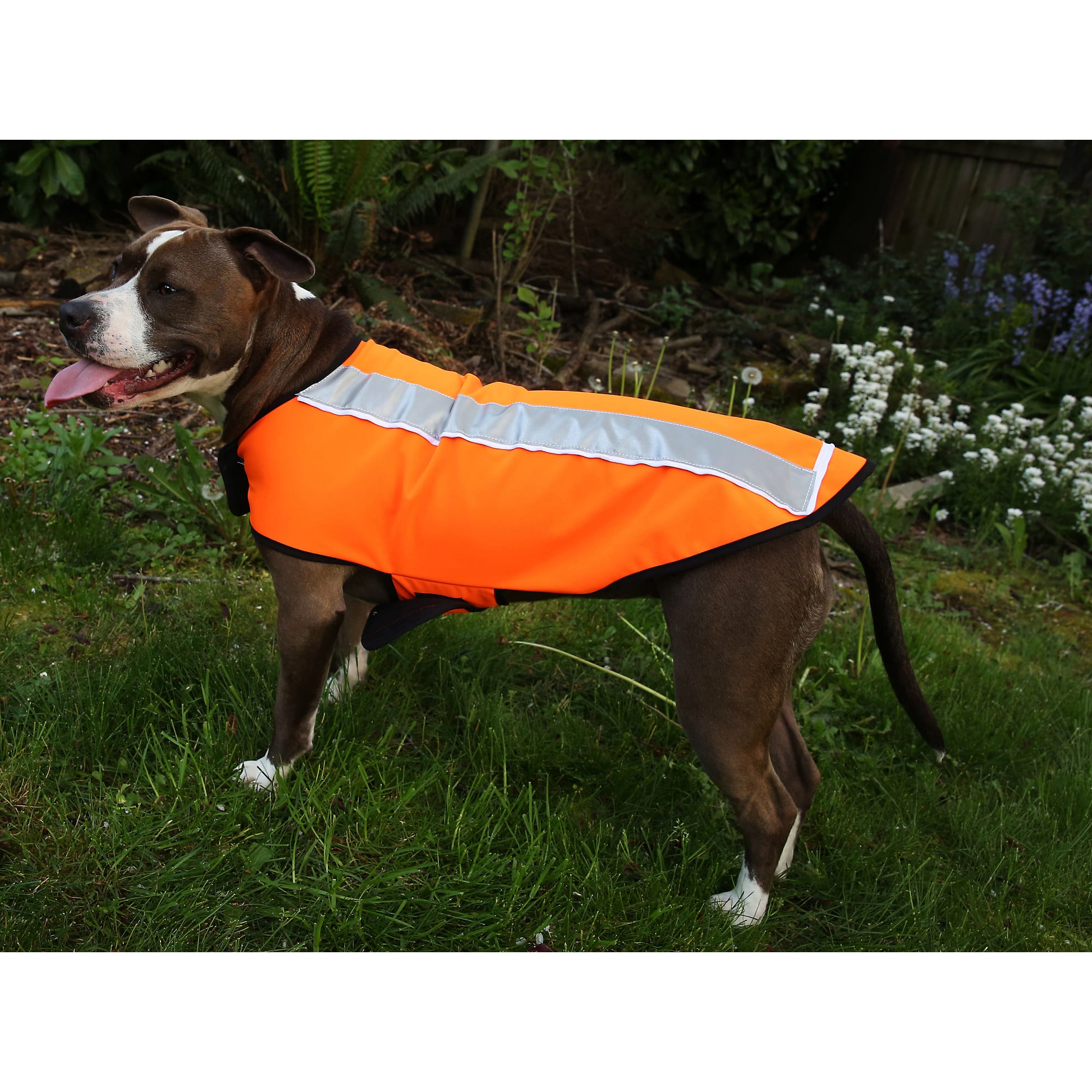 Healers Spot-Lite Dog Reflective Jacket with Orange LED Lights, Small ...
