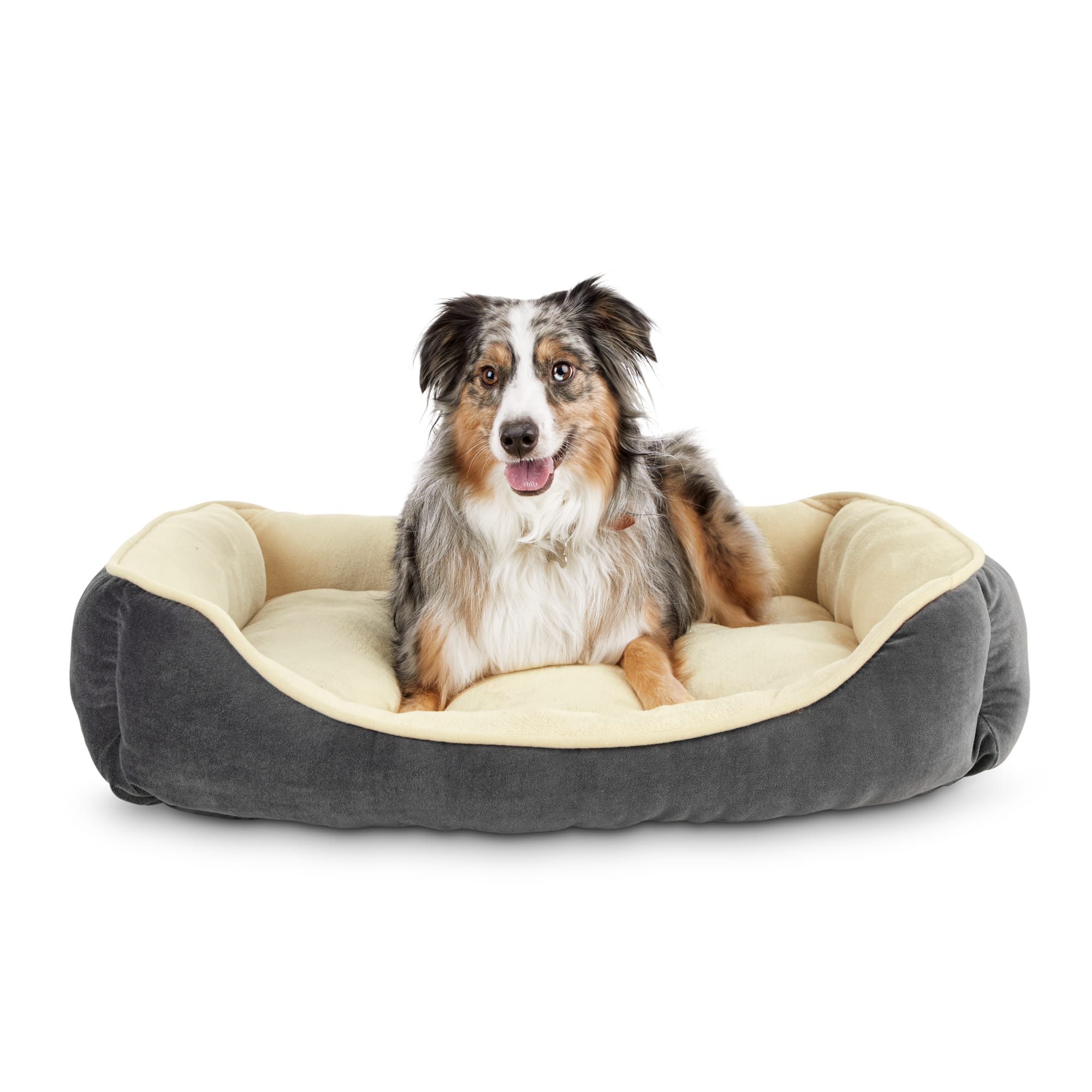 EveryYay Essentials Snooze Fest Rectangle Nester Dog Bed, 32" L X 24" W ...