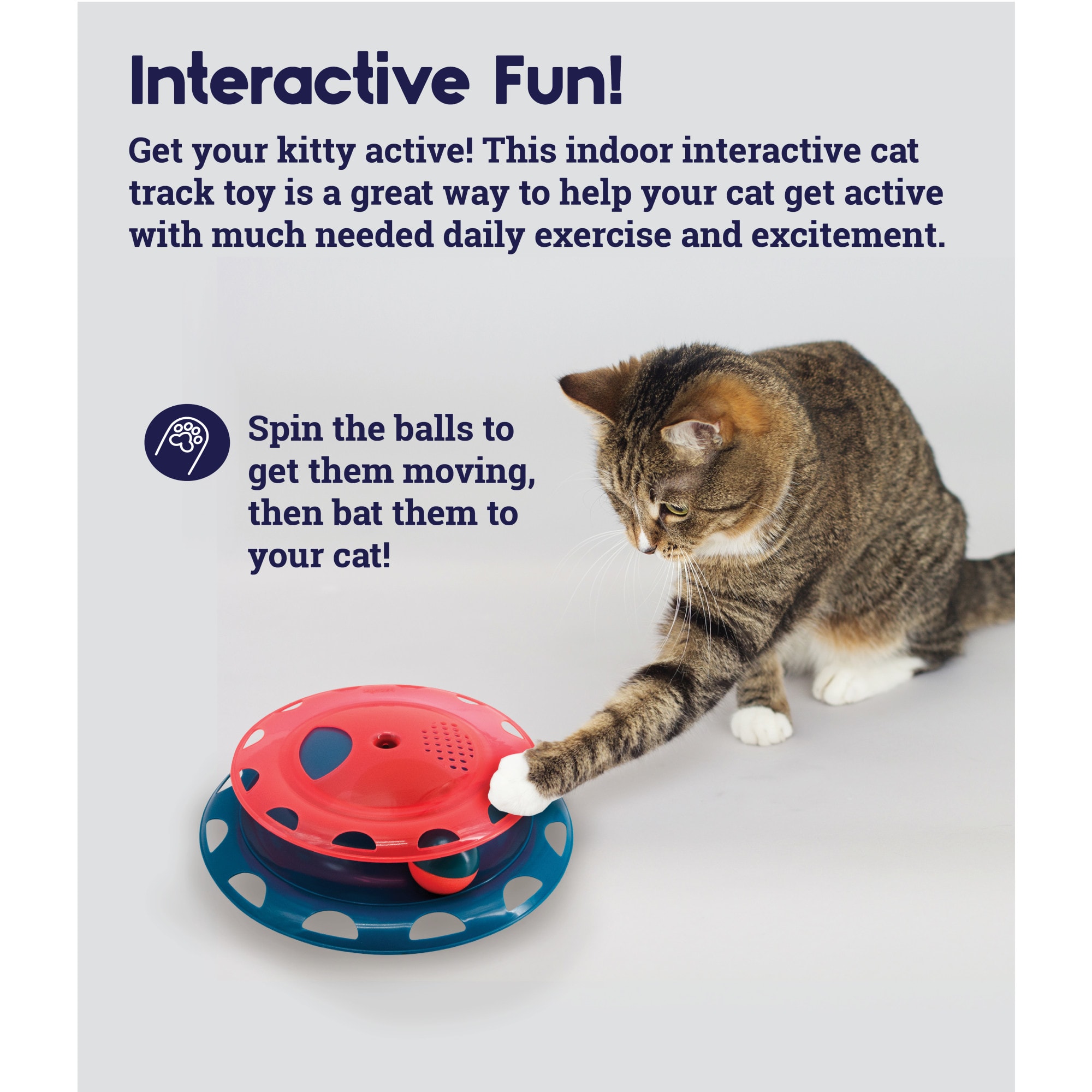 Petstages Catnip Chase Track Cat Toy | Petco