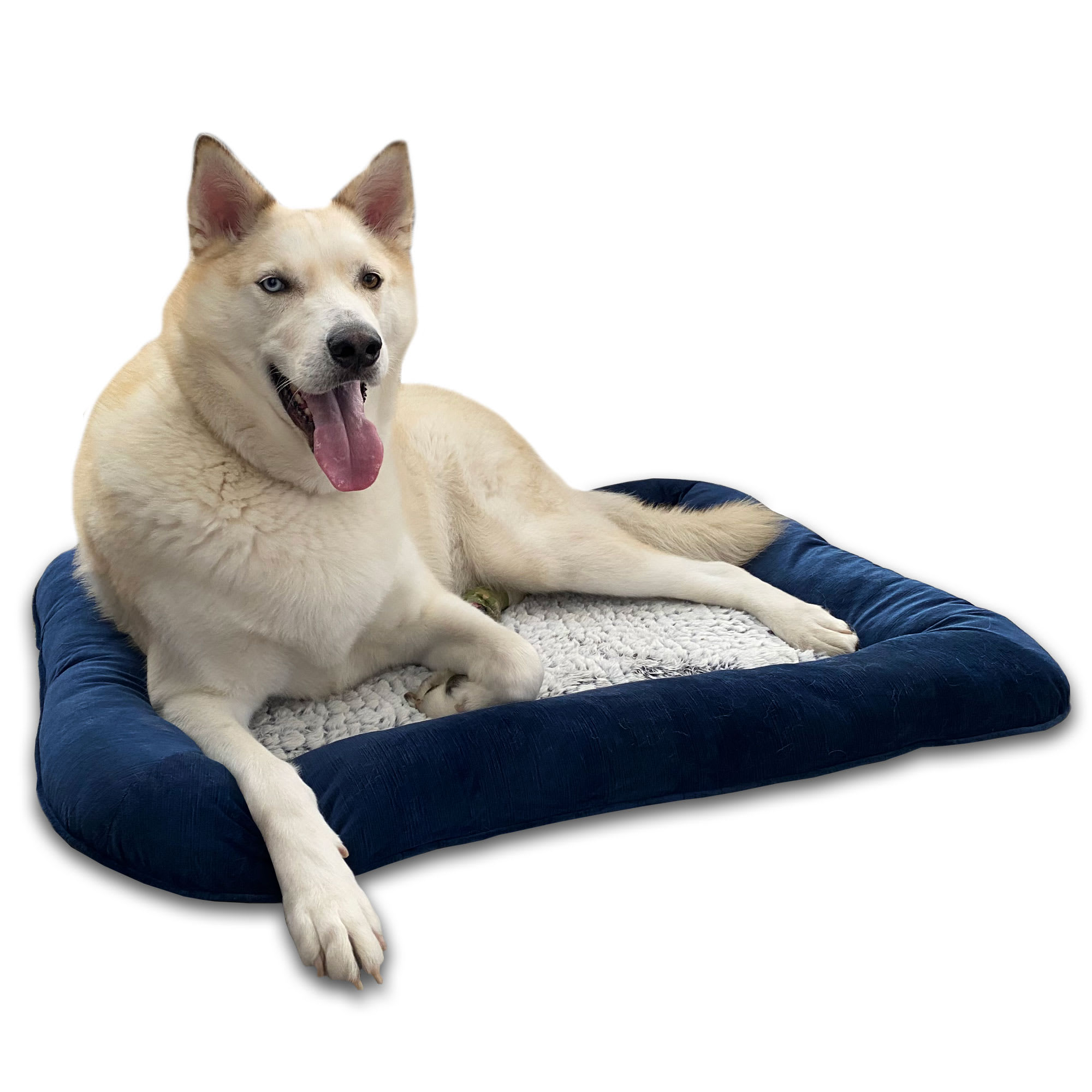 Pure Comfort Blue Orthopedic Bolstered Napper for Dogs, 30"x40"x4" | Petco