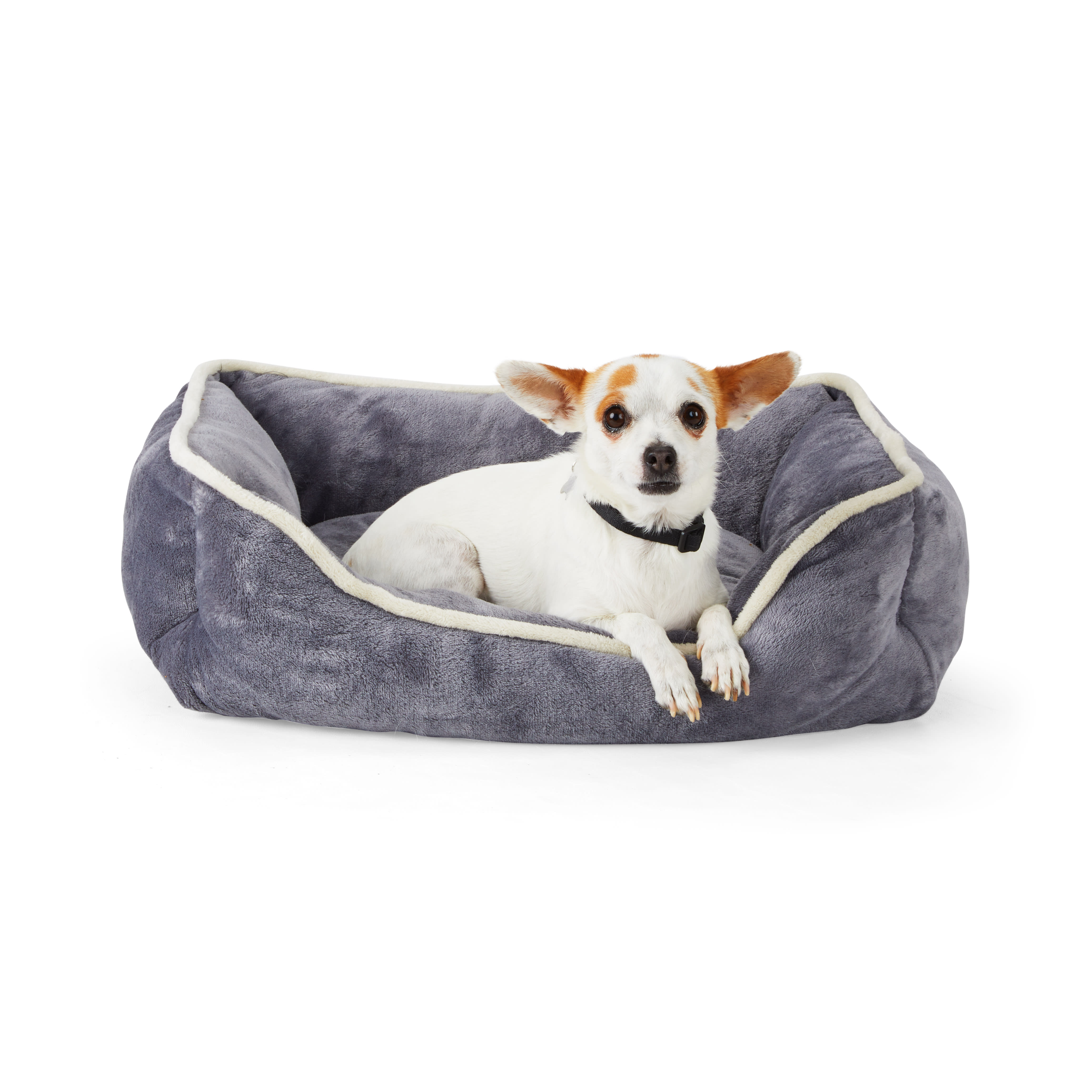 EveryYay Essentials Snooze Fest Grey Nester Dog Bed, 24" L X 18" W | Petco