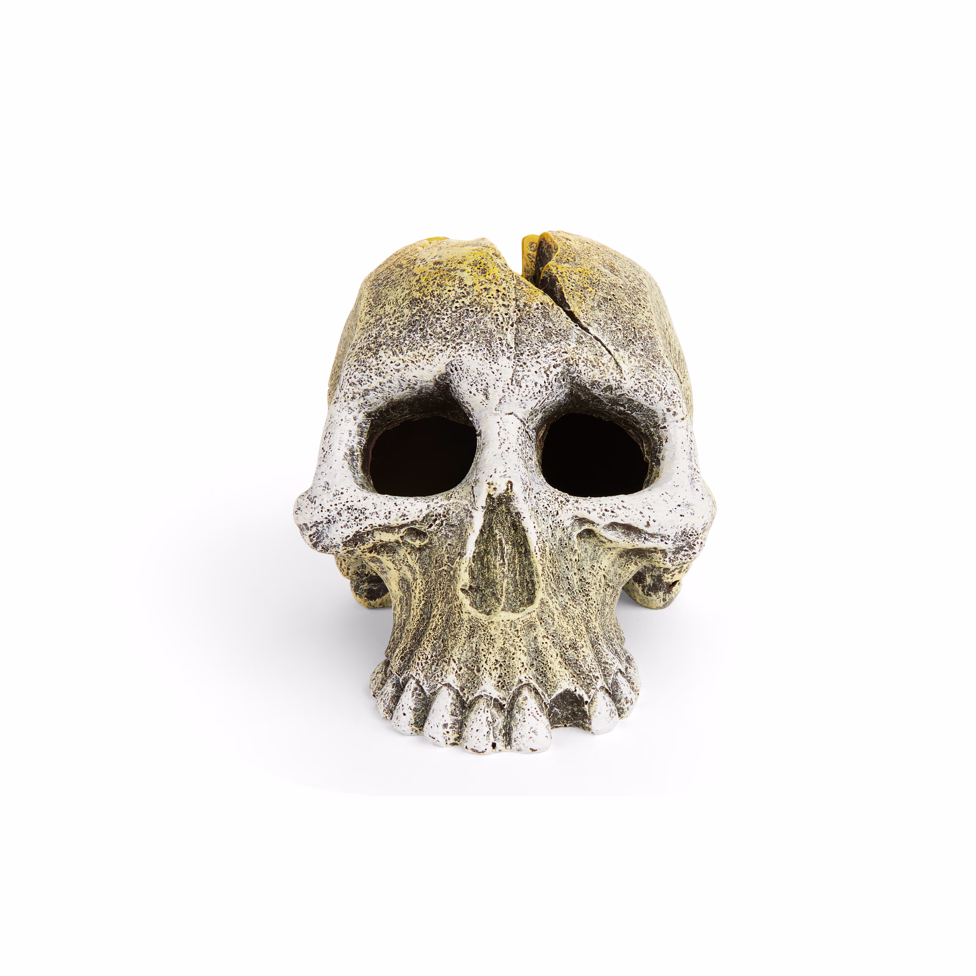 Imagitarium Primate Skull Decor | Petco
