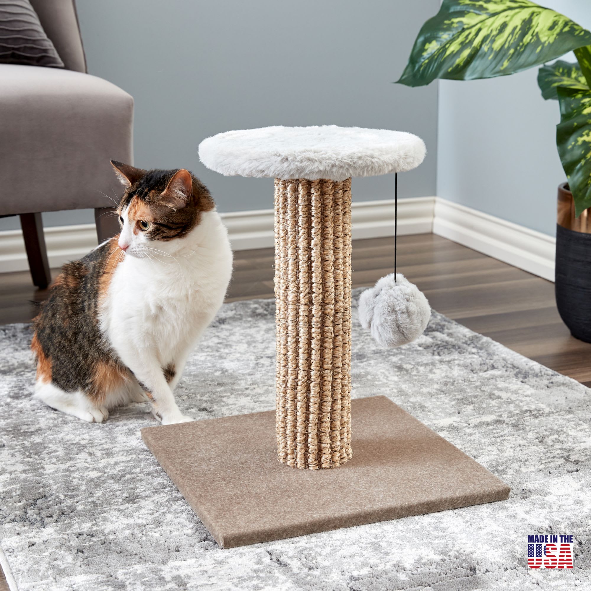 Sea 2 Sea Bellville Cat Tree, 16" H | Petco