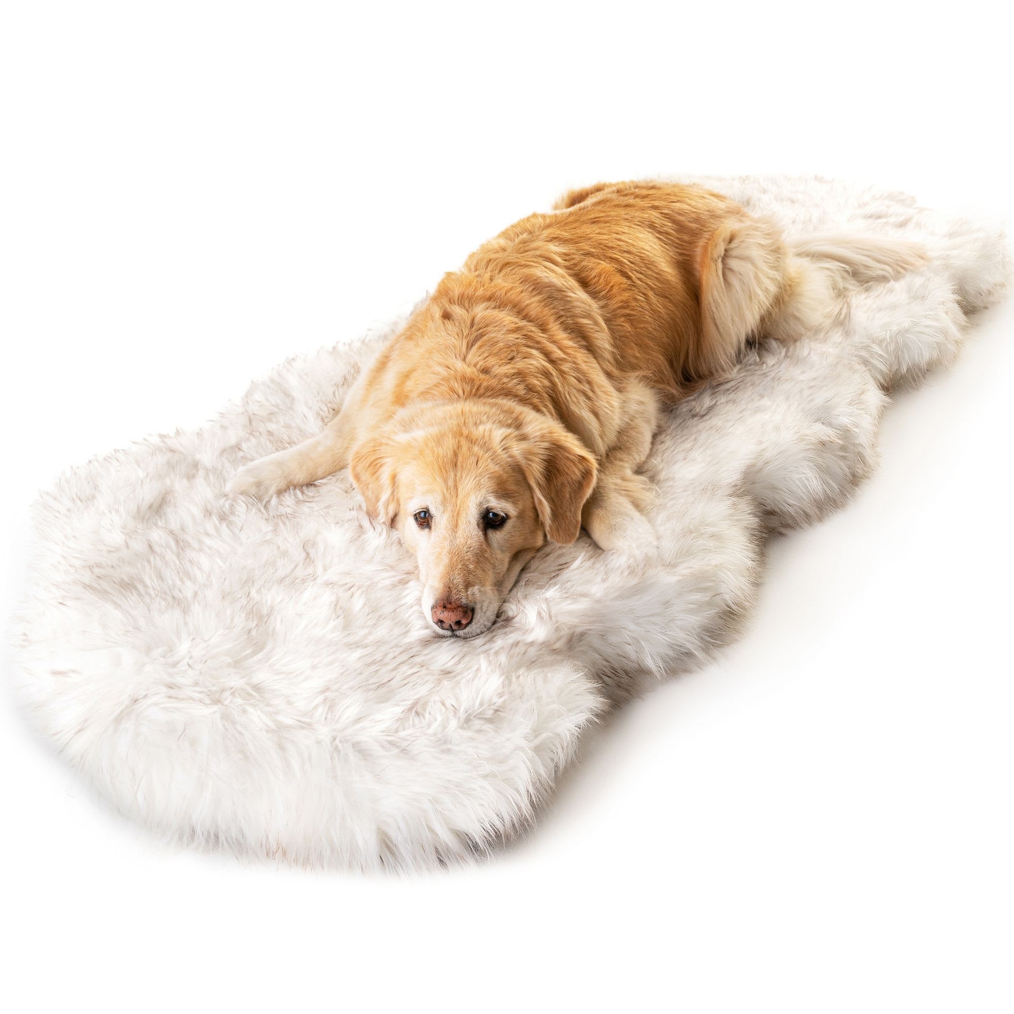 Paw Brands PupRug Runner Memory Foam Dog Bed, 72"x28", White | Petco