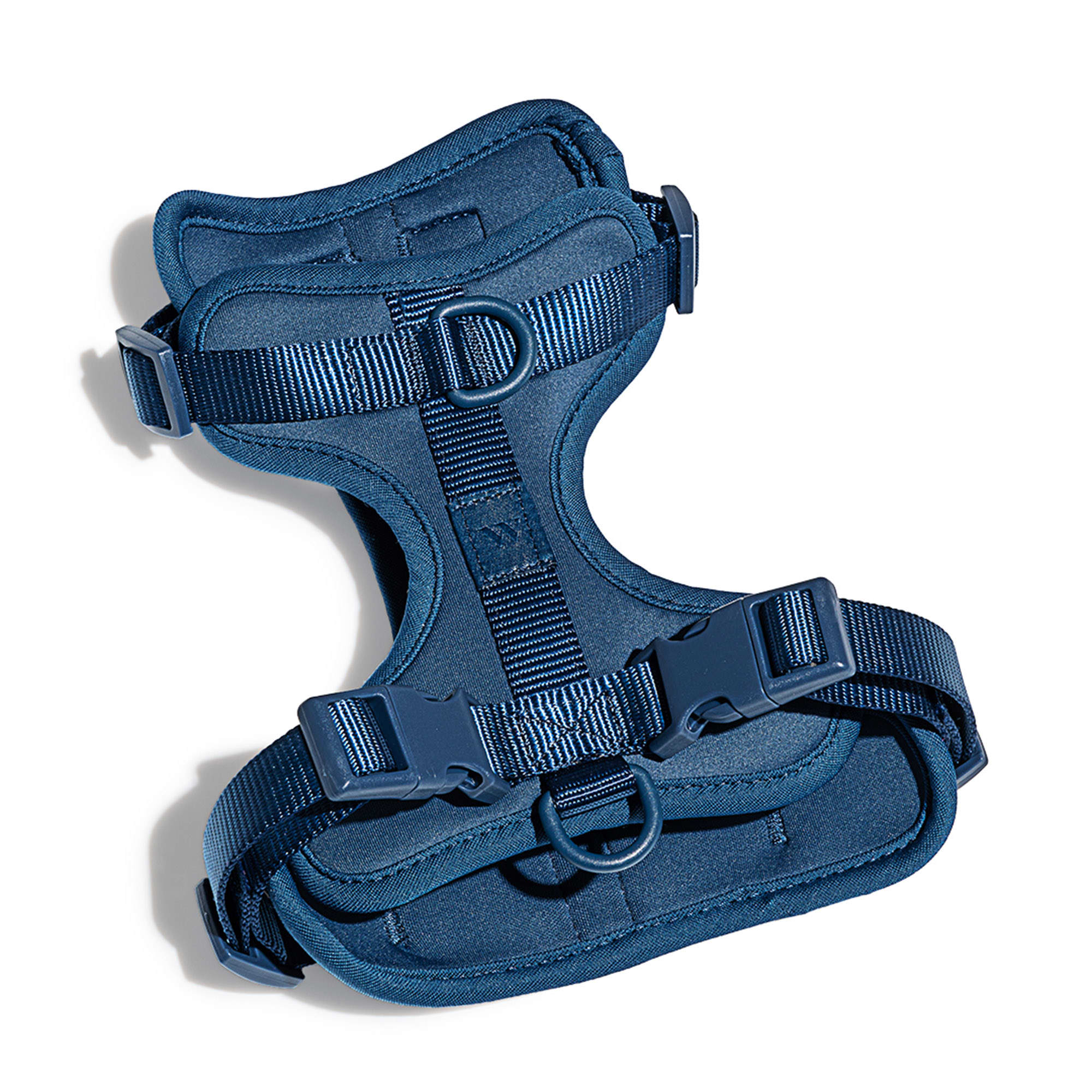 Wild One Cushioned Harness, Navy, Medium | Petco