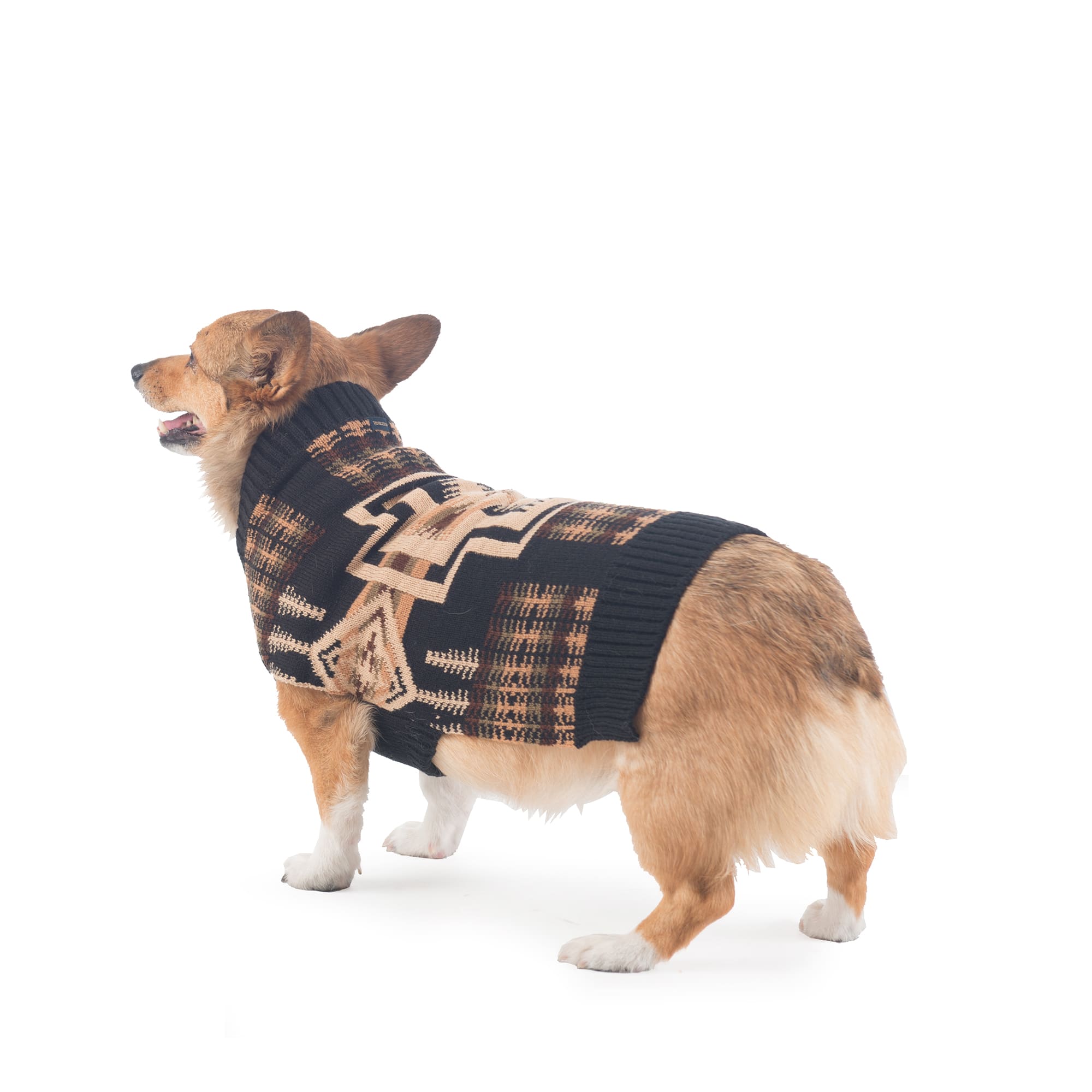 Pendleton Harding Dog Sweater, Large | Petco