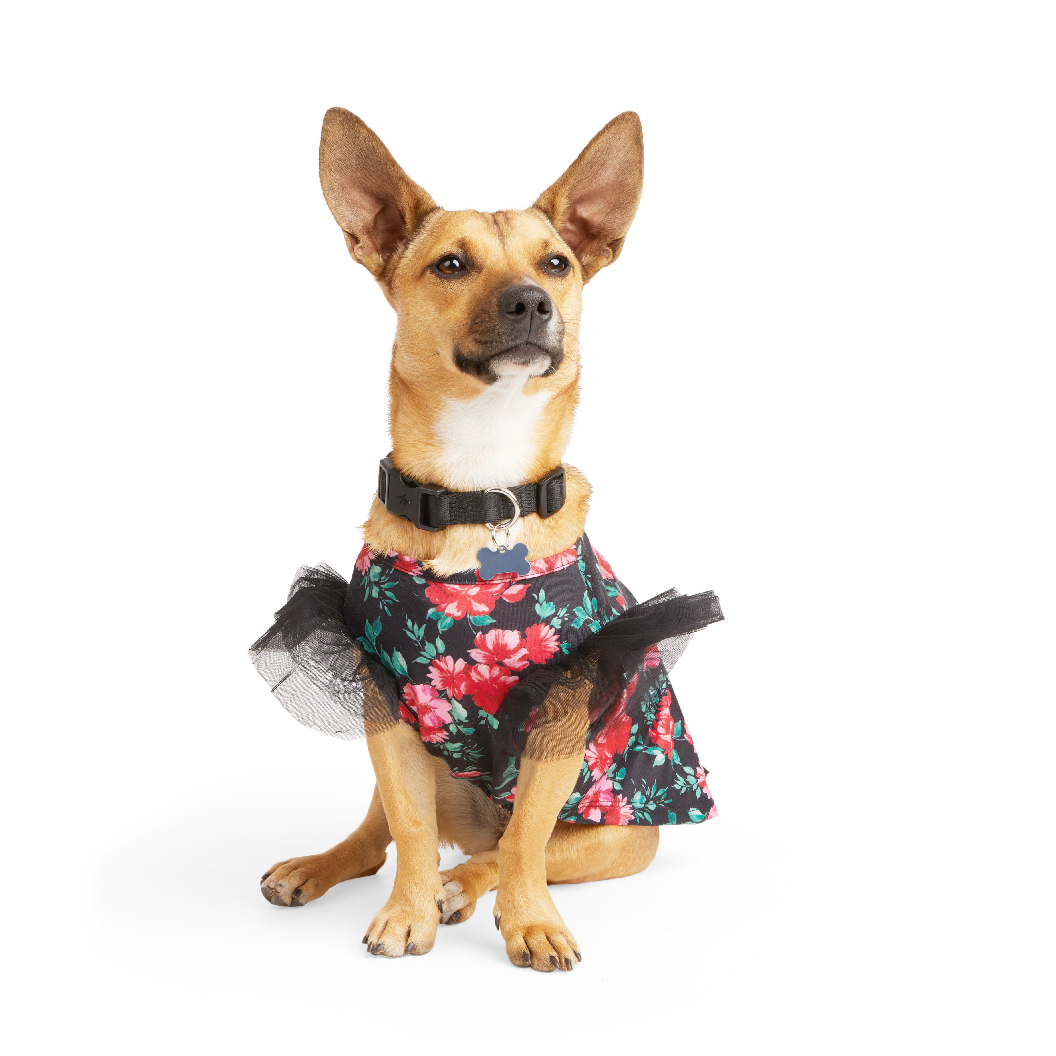 YOULY Rose Girl Woven Floral Dog Tee, Large | Petco