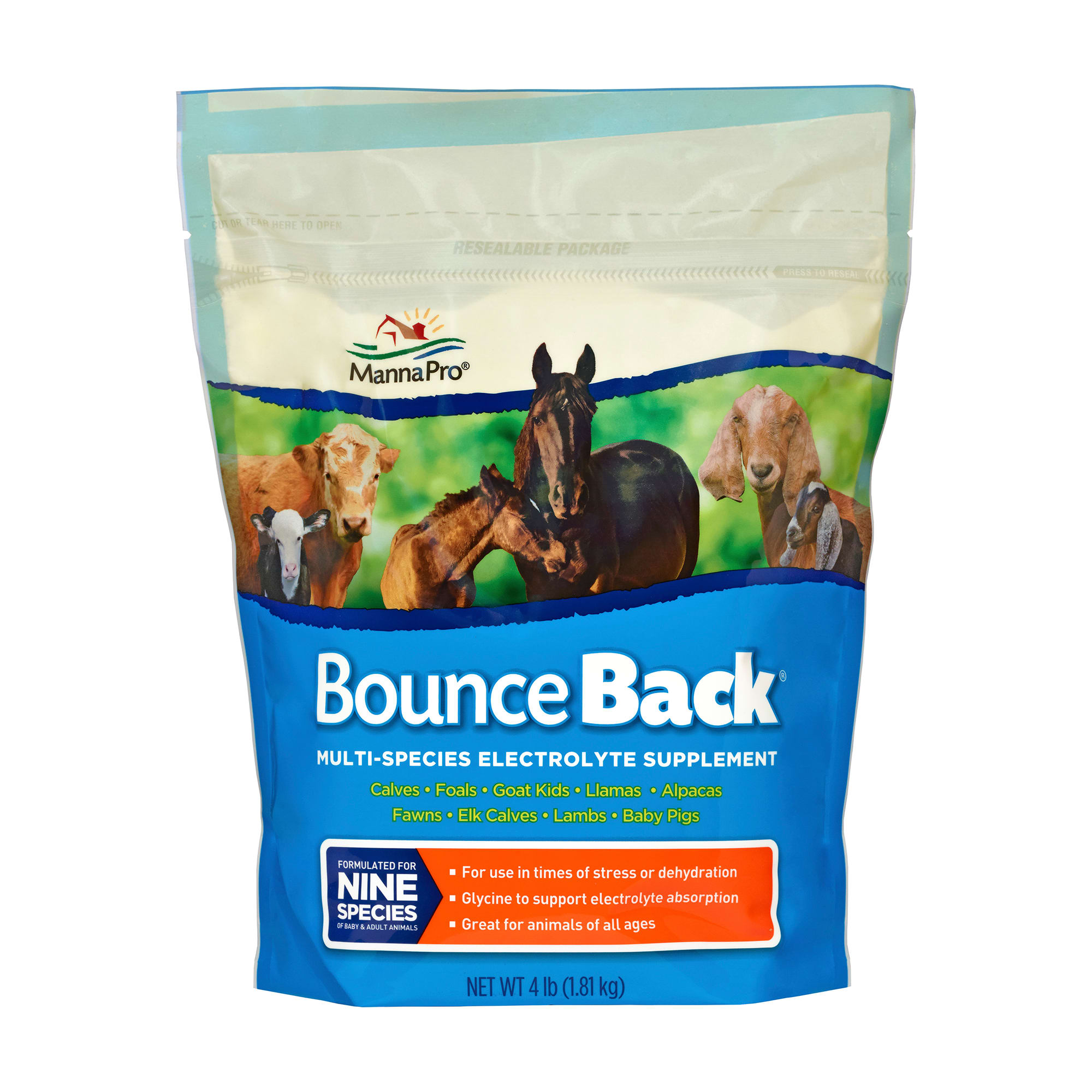 Manna Pro Bounce Back, 4 lbs. | Petco