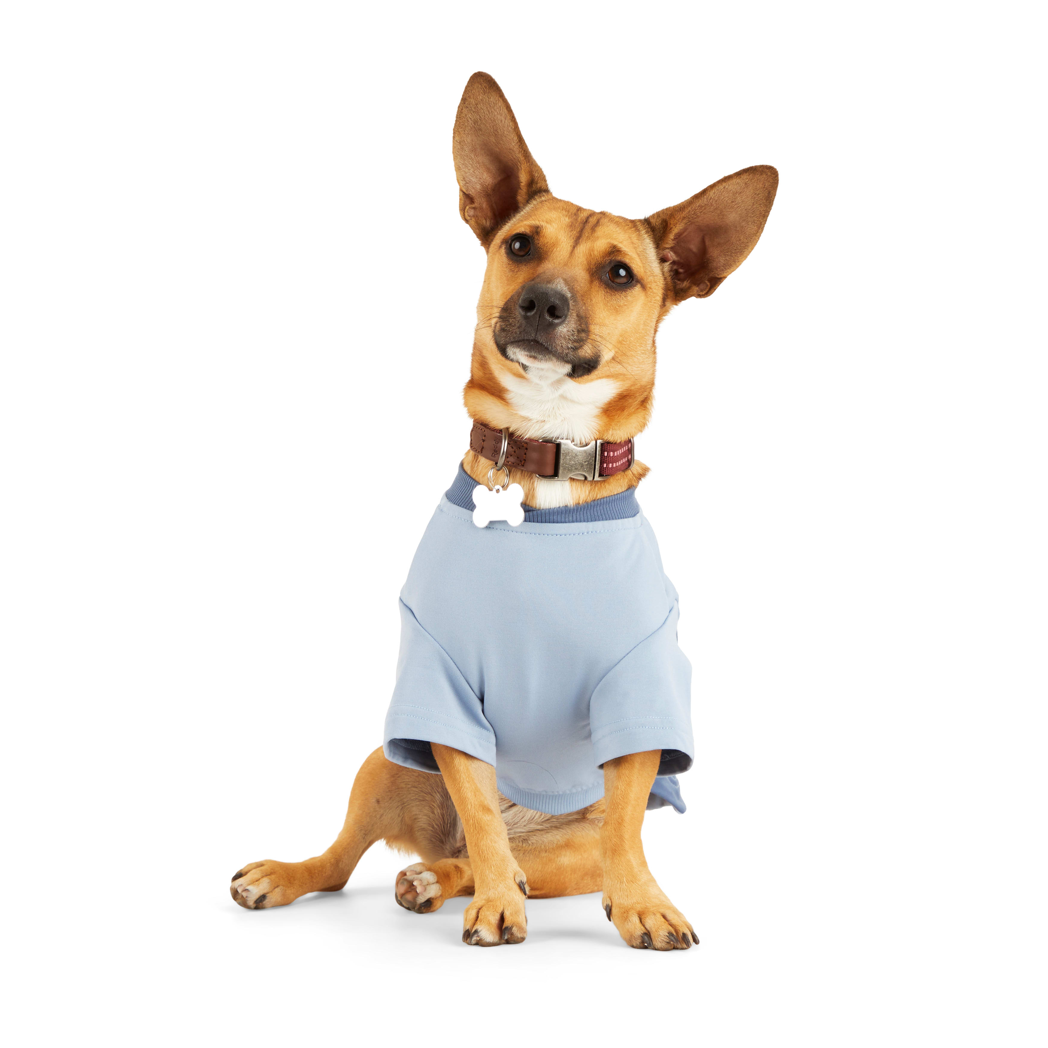 Reddy Blue Liner Dog Baselayer, XX-Large | Petco