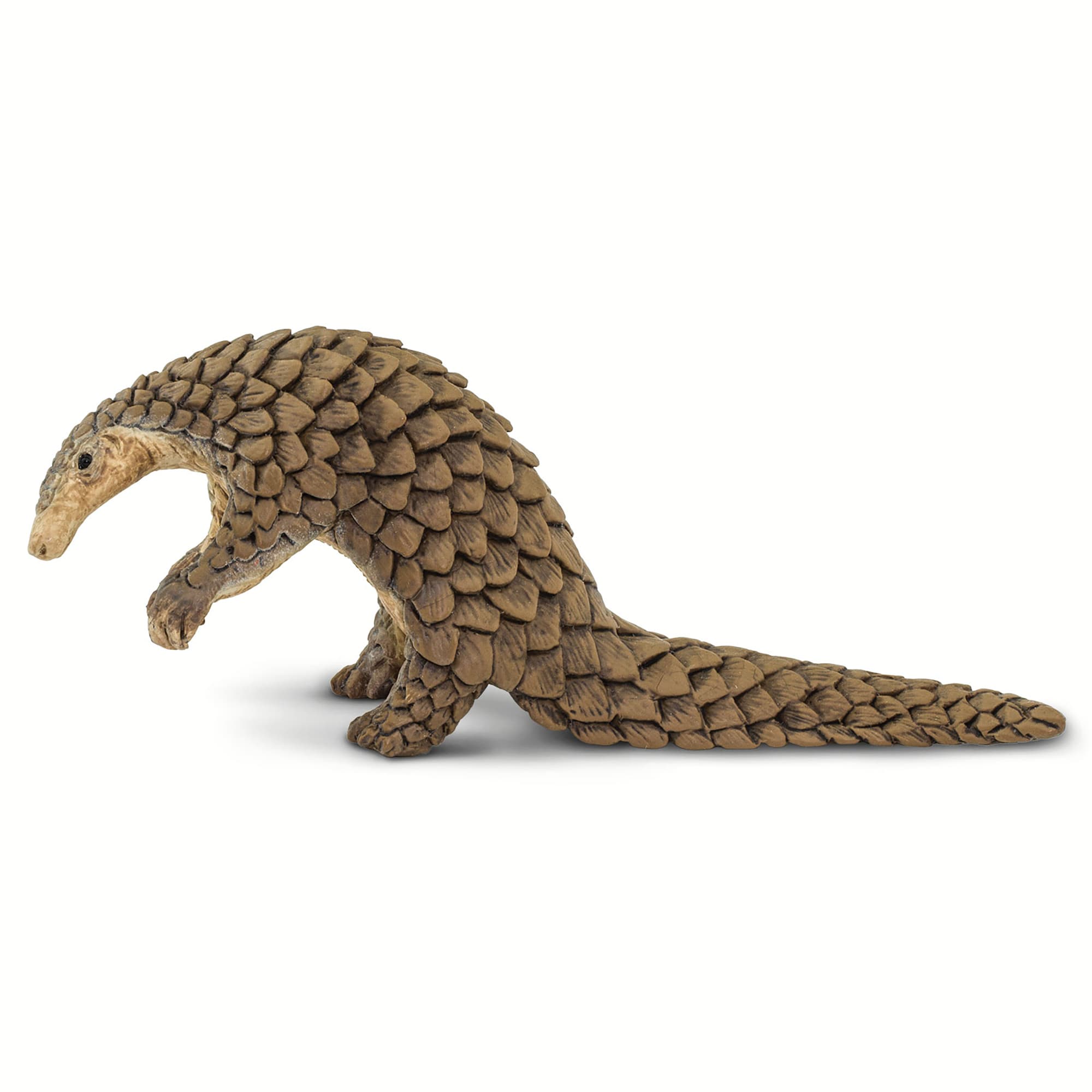 Safari Ltd Pangolin Toy Figure | Petco