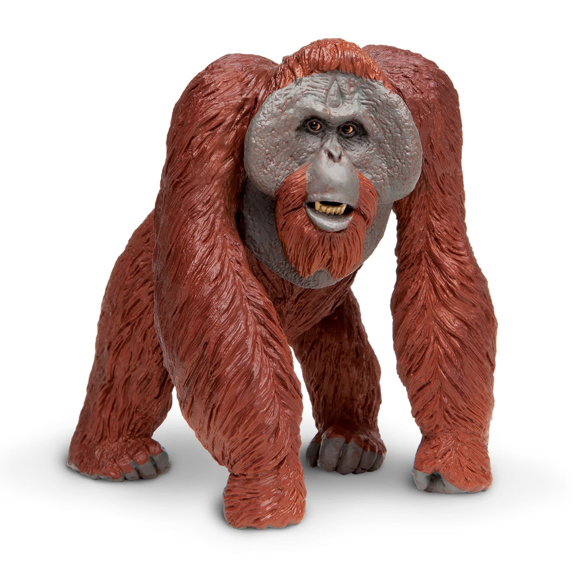 Safari Ltd Bornean Orangutan Toy Figure | Petco