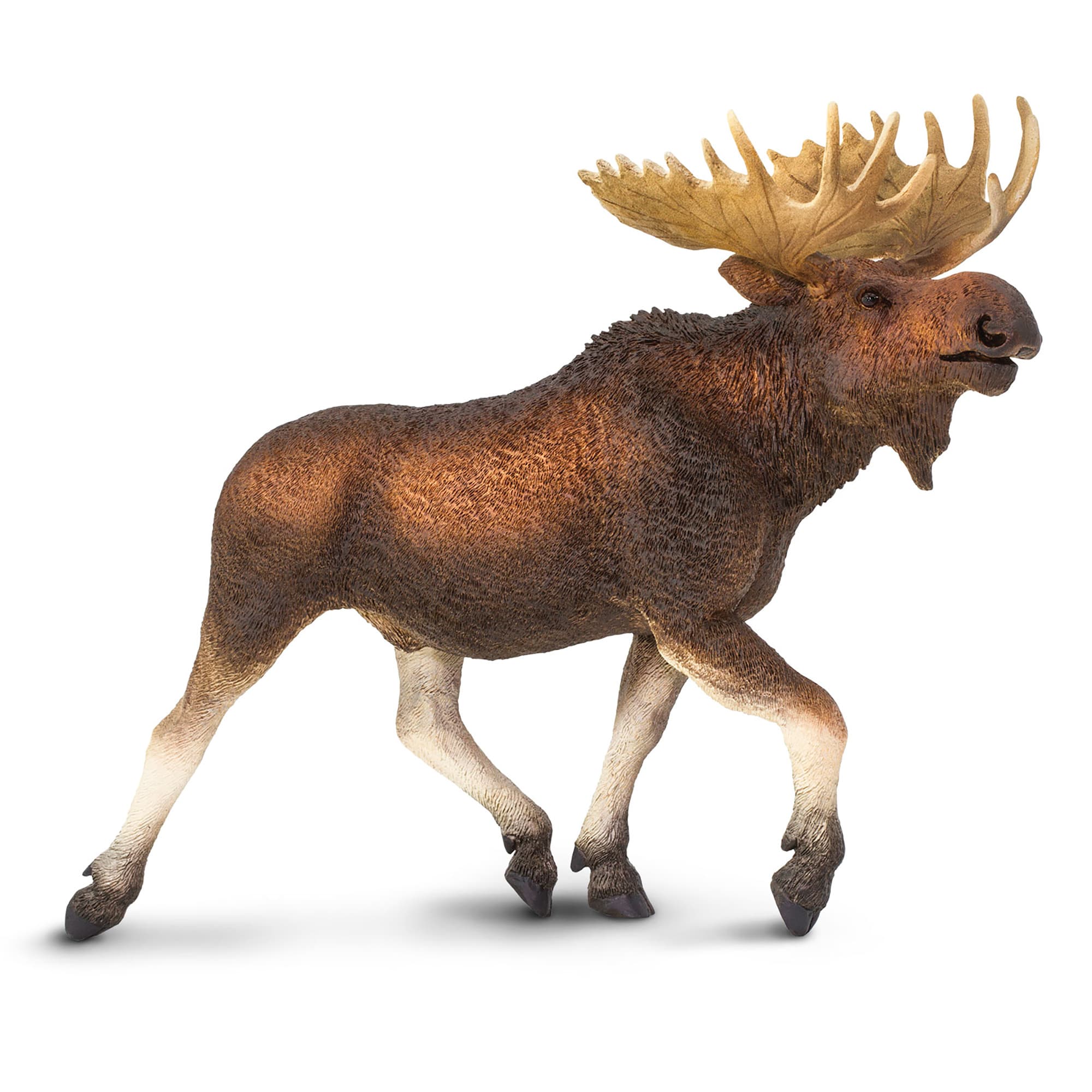 Safari Ltd Moose Toy Figure | Petco