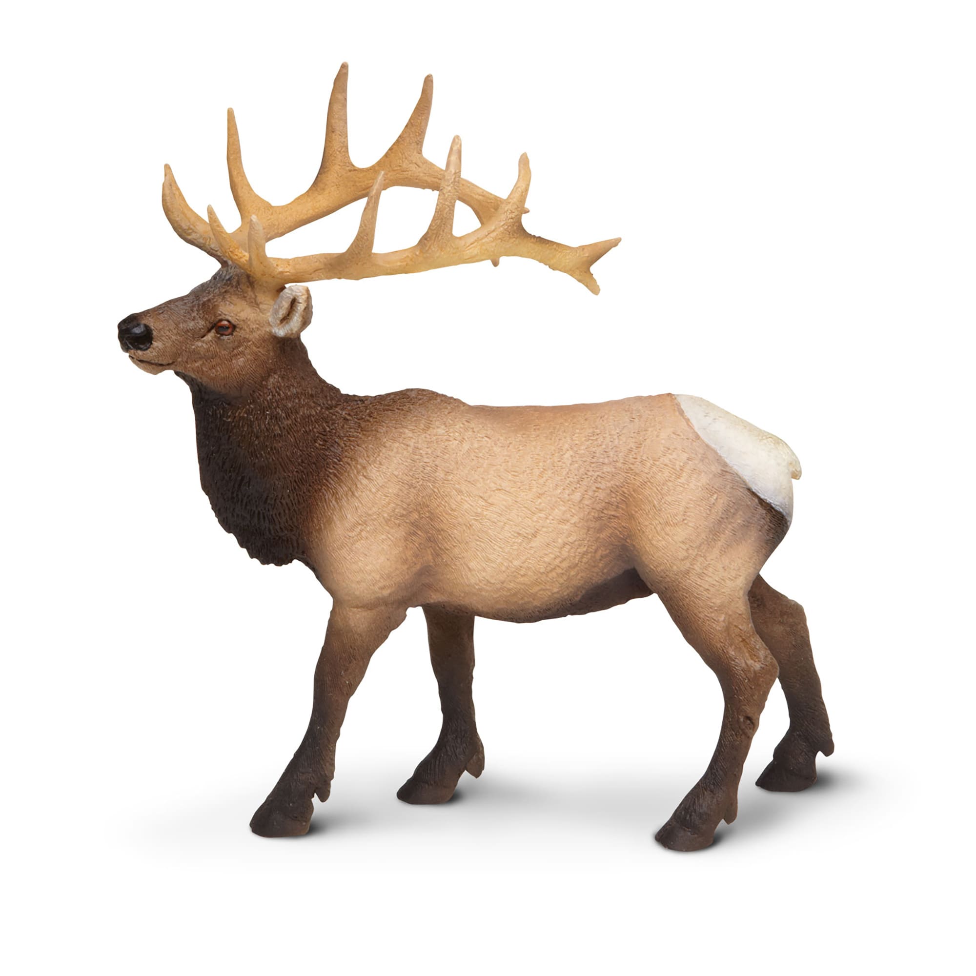 Safari Ltd Elk Bull Toy Figure | Petco