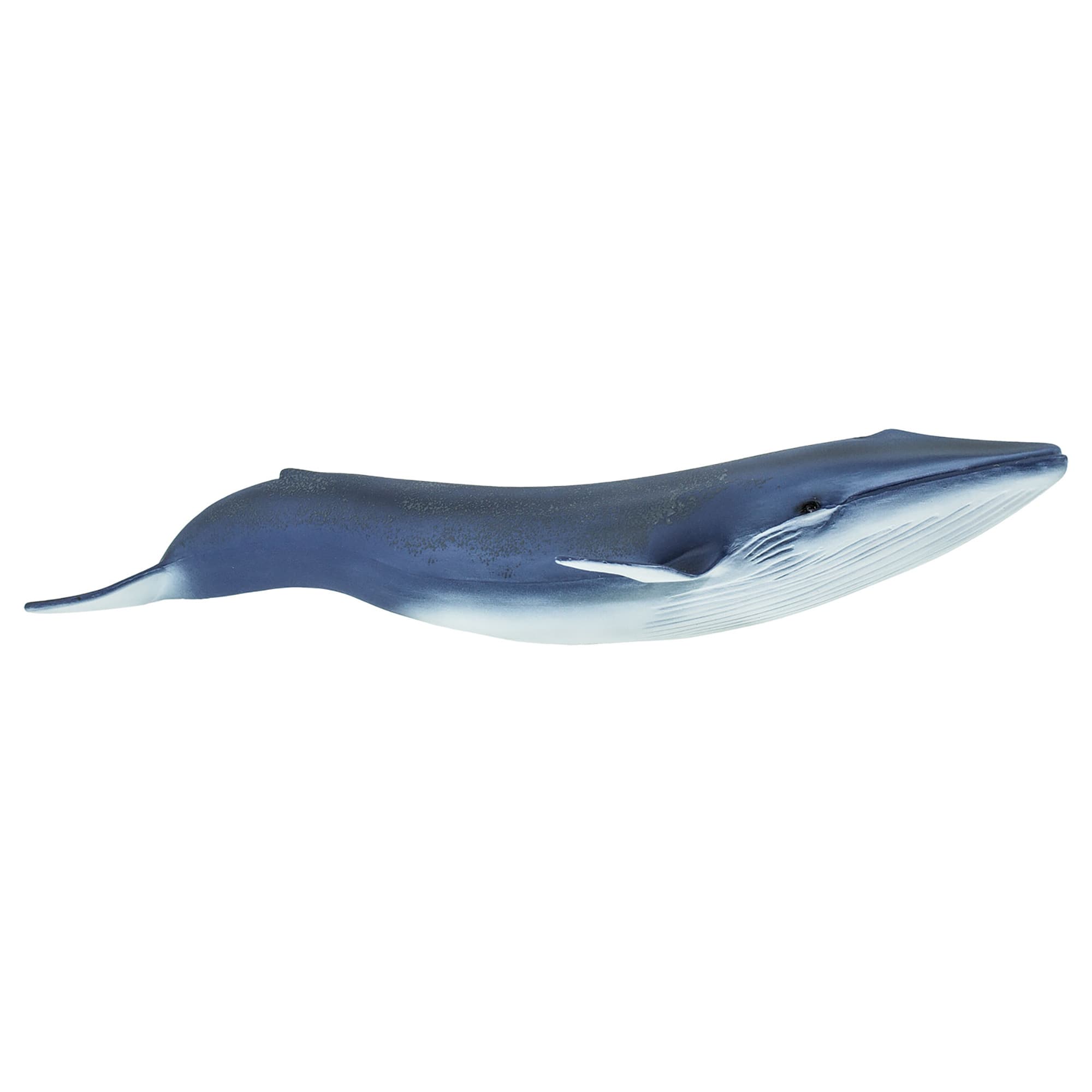 Safari Ltd Blue Whale Toy Figure | Petco