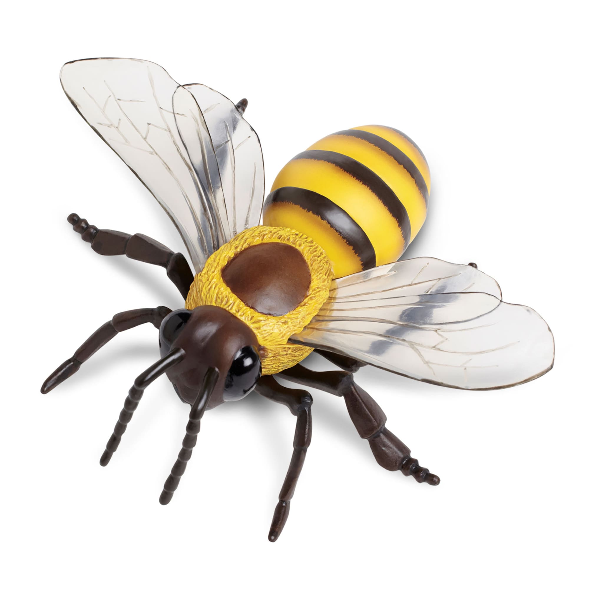Safari Ltd Honey Bee Toy Figure | Petco