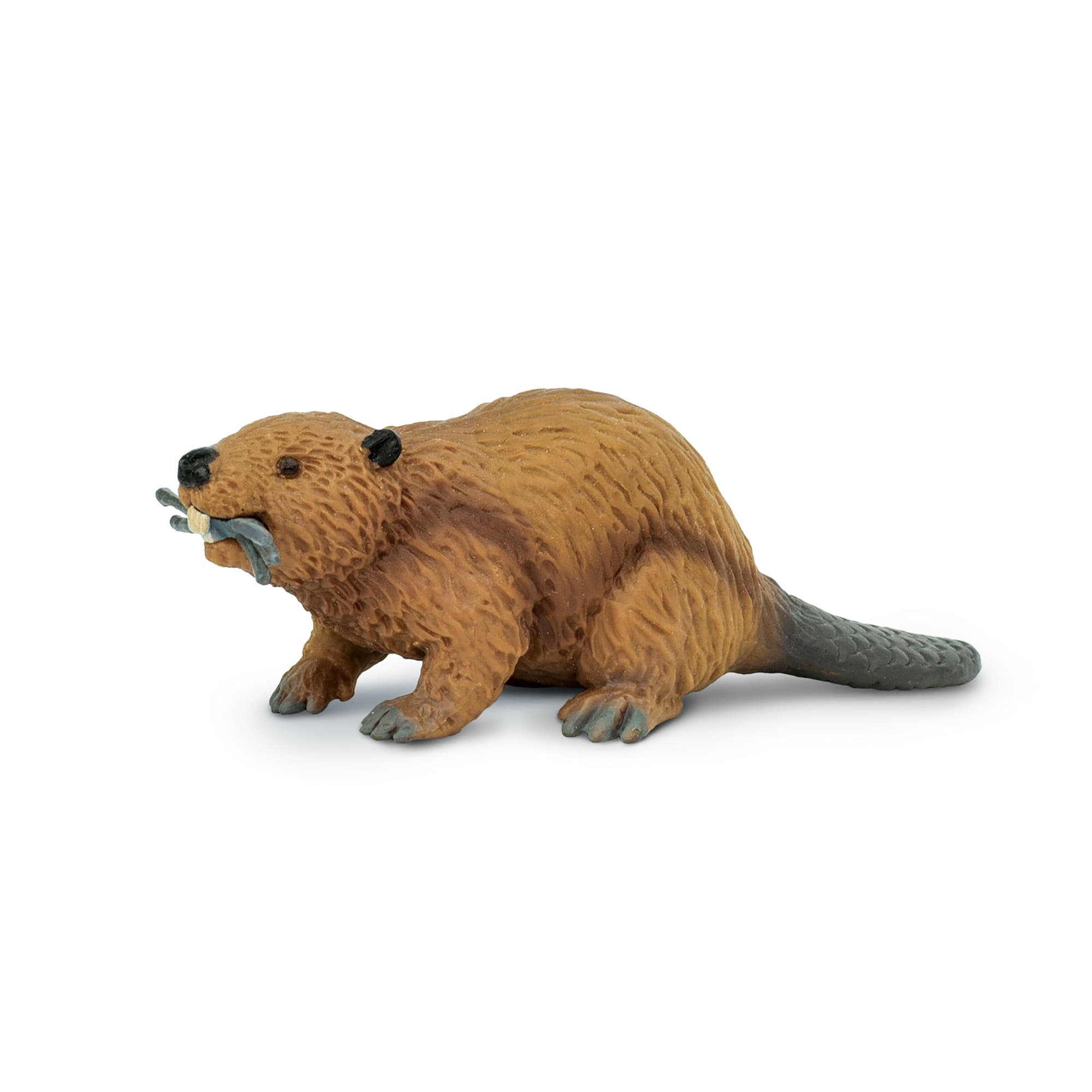 Safari Ltd Beaver Toy Figure | Petco