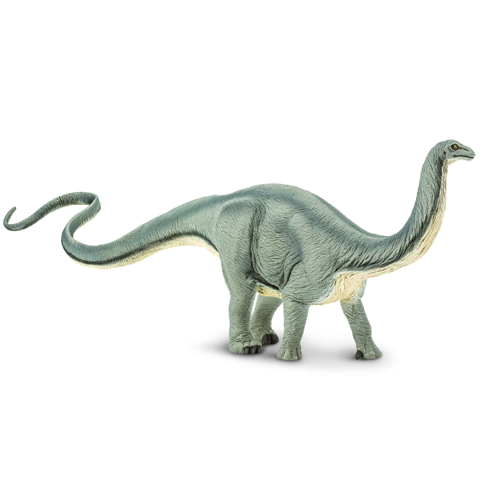 Safari Ltd Apatosaurus Toy Figure | Petco