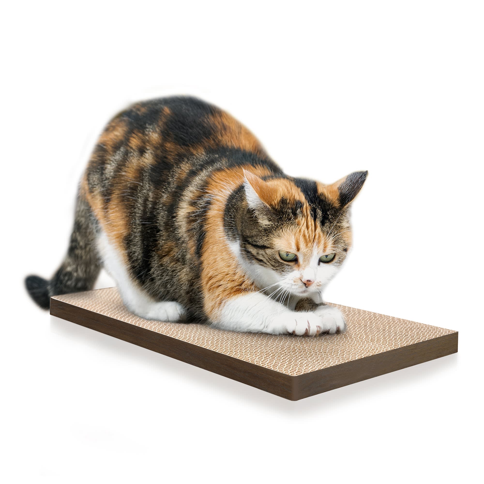 Way Basics Simple Cat Scratcher in Royal Walnut, 16.1" L X 8.7" W X 0.8 ...