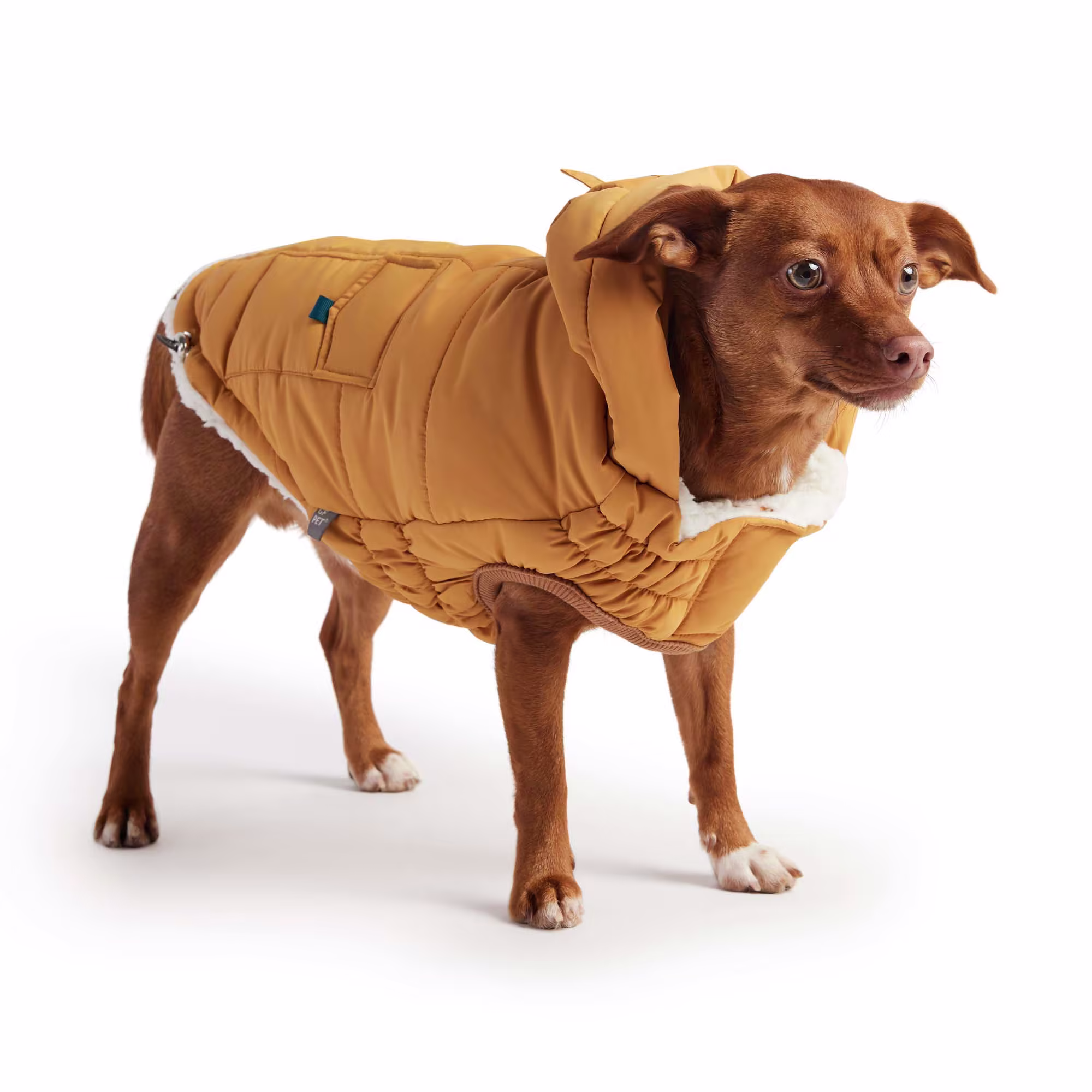 GF Pet Yellow Super Puff Dog Parka, XX-Small | Petco