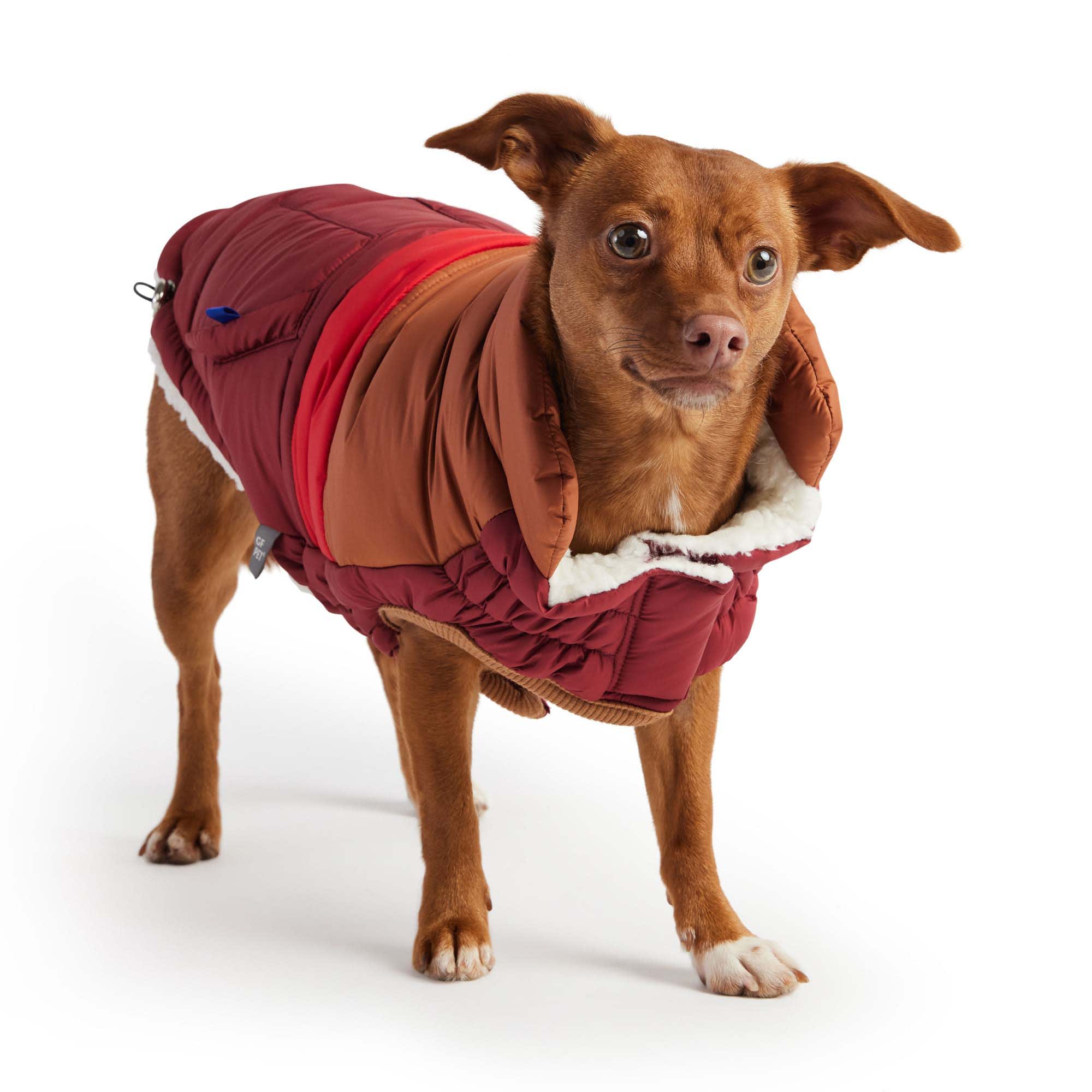 GF Pet Dark Red Retro Dog Puffer, XX-Small | Petco