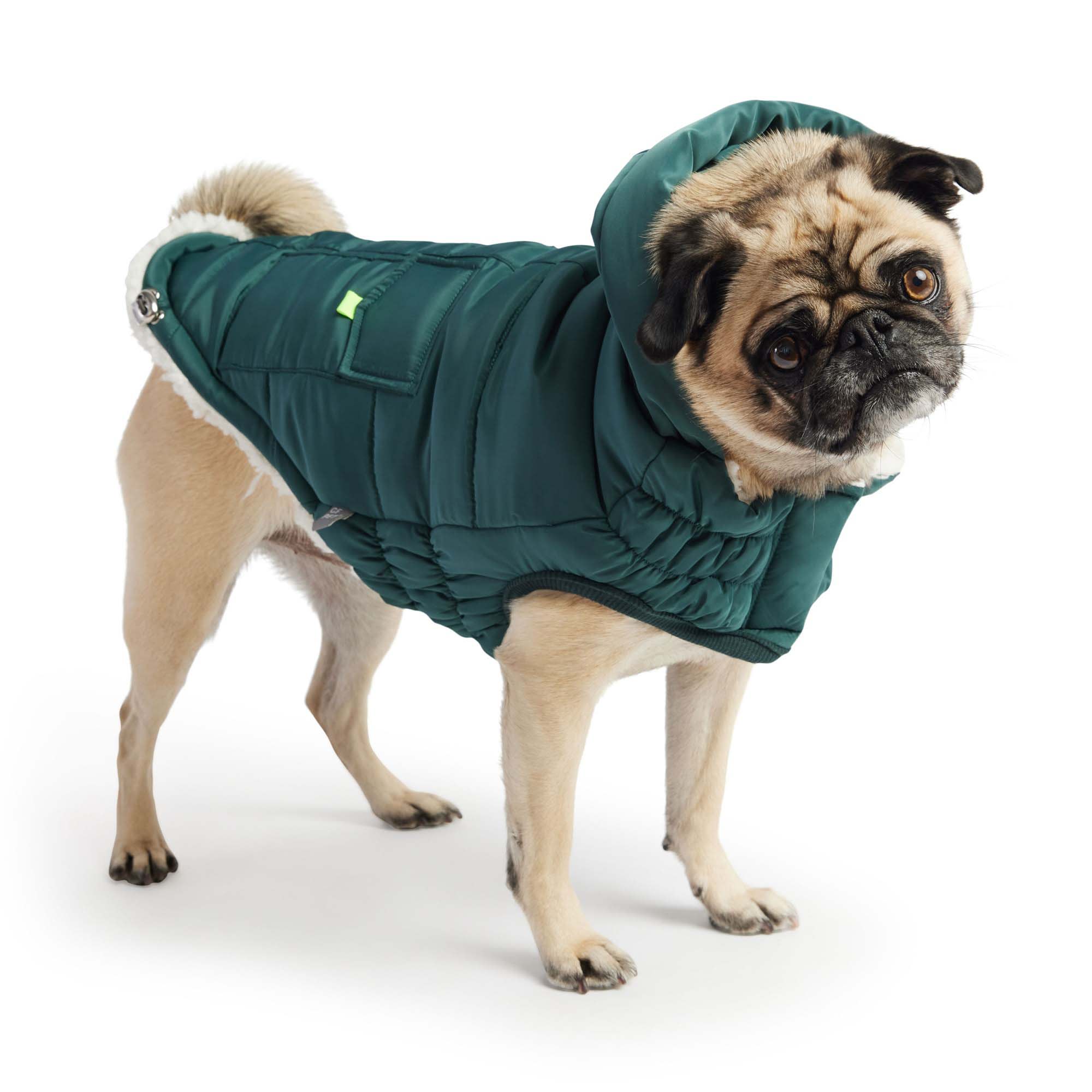 GF Pet Teal Super Puff Dog Parka, XX-Small | Petco