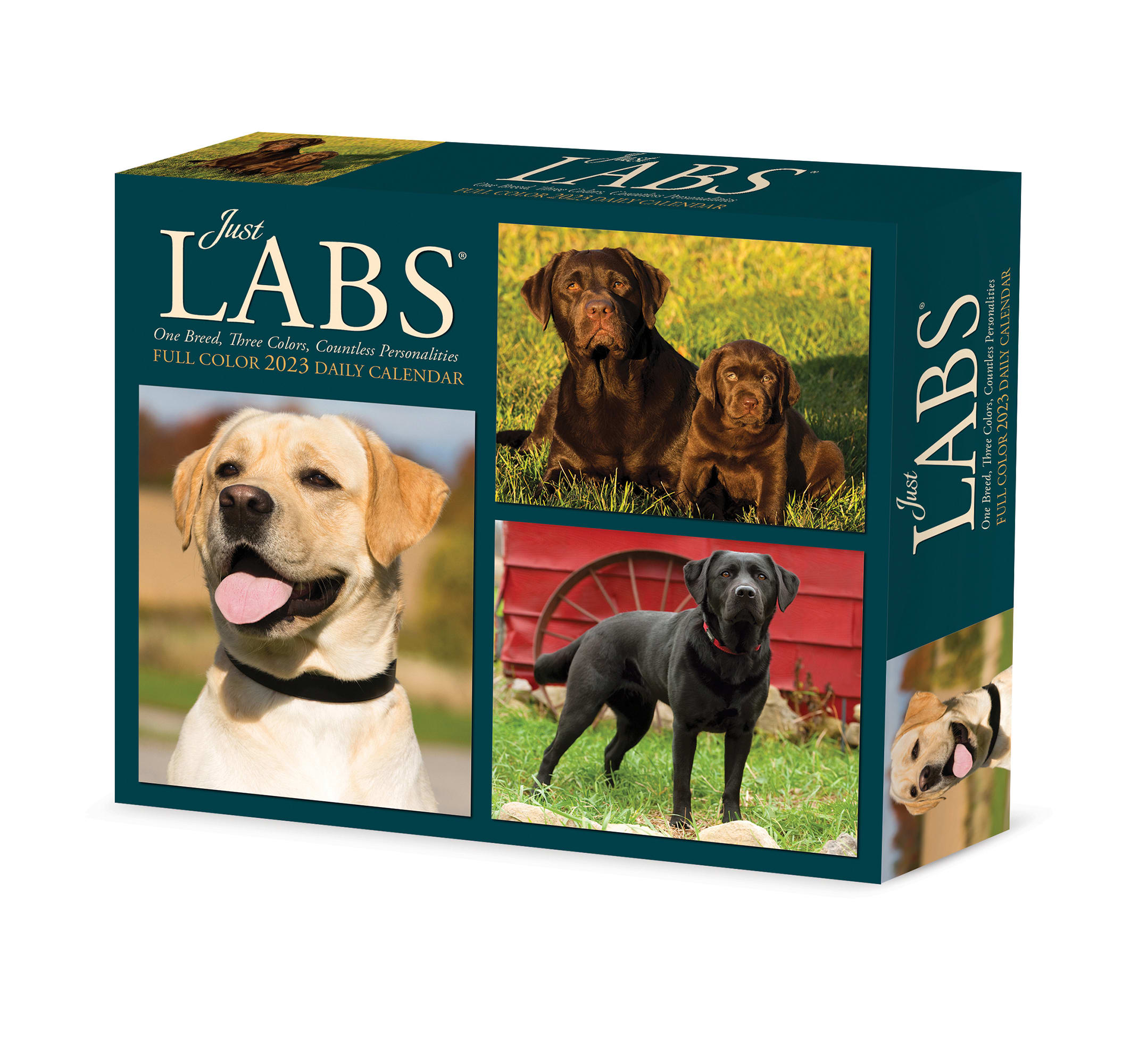 Calendar Labs 2023 Uk Get Calendar 2023 Update