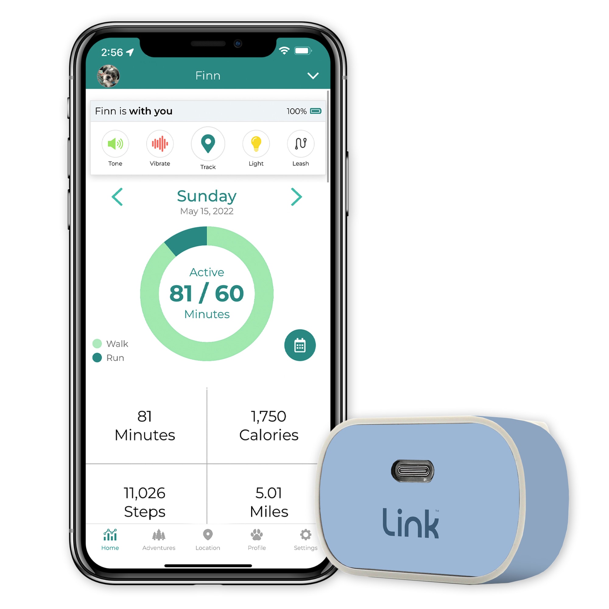 Link My Pet GPS Dog Tracker + Activity Monitor with Rain Wrap | Petco