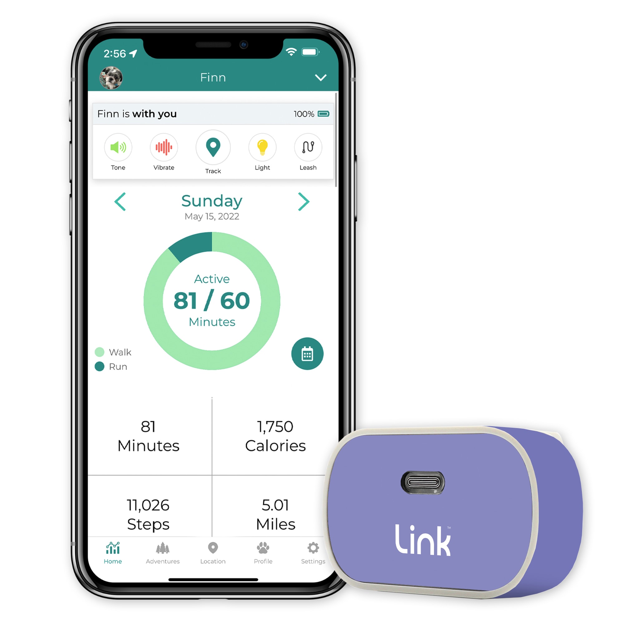 Link My Pet GPS Dog Tracker + Activity Monitor with Bloom Wrap | Petco