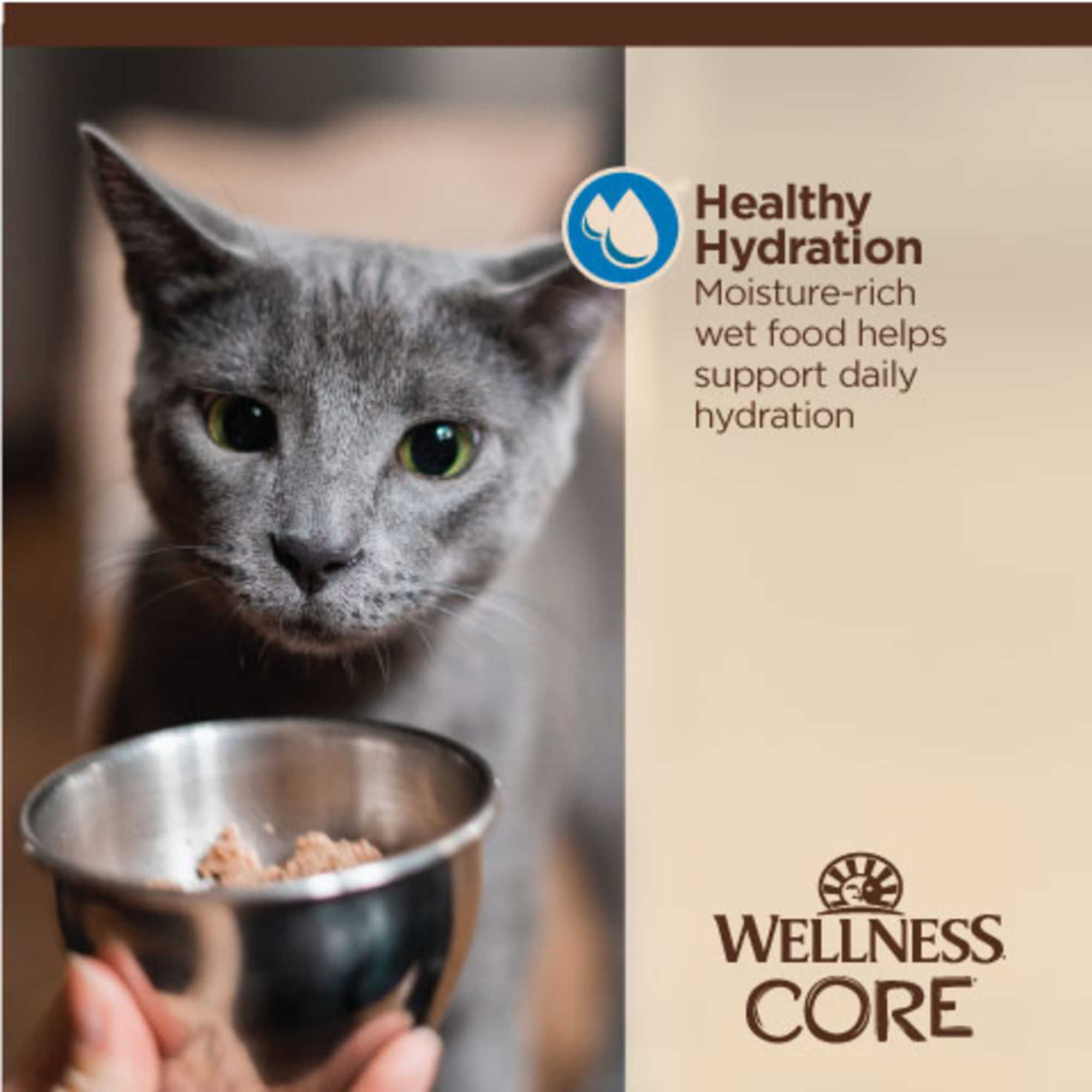 Wellness CORE Tiny Tasters Wet Cat Food, Complete & Balanced Natural ...
