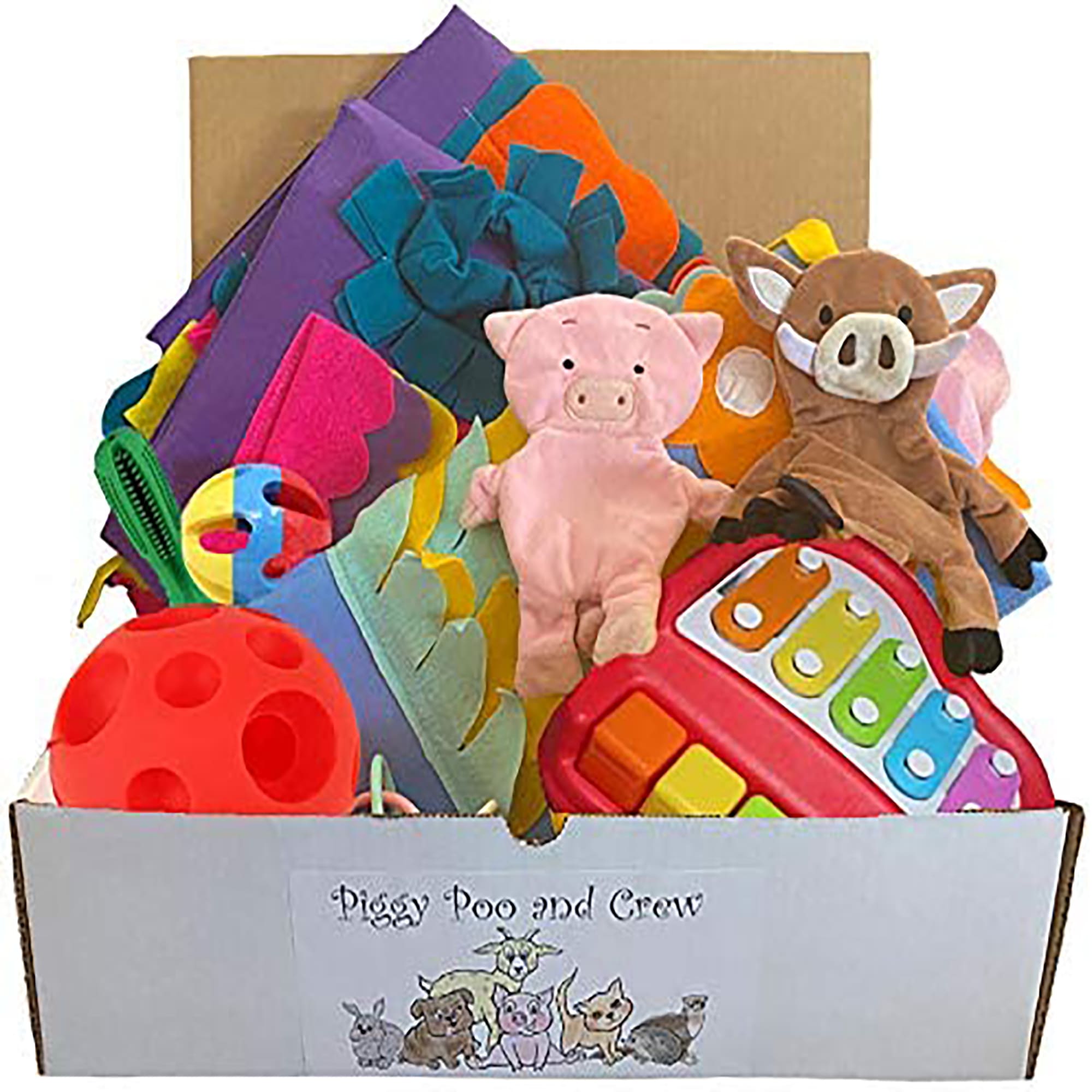 Piggy Poo and Crew Red Bundle of Toys Gift Box | Petco