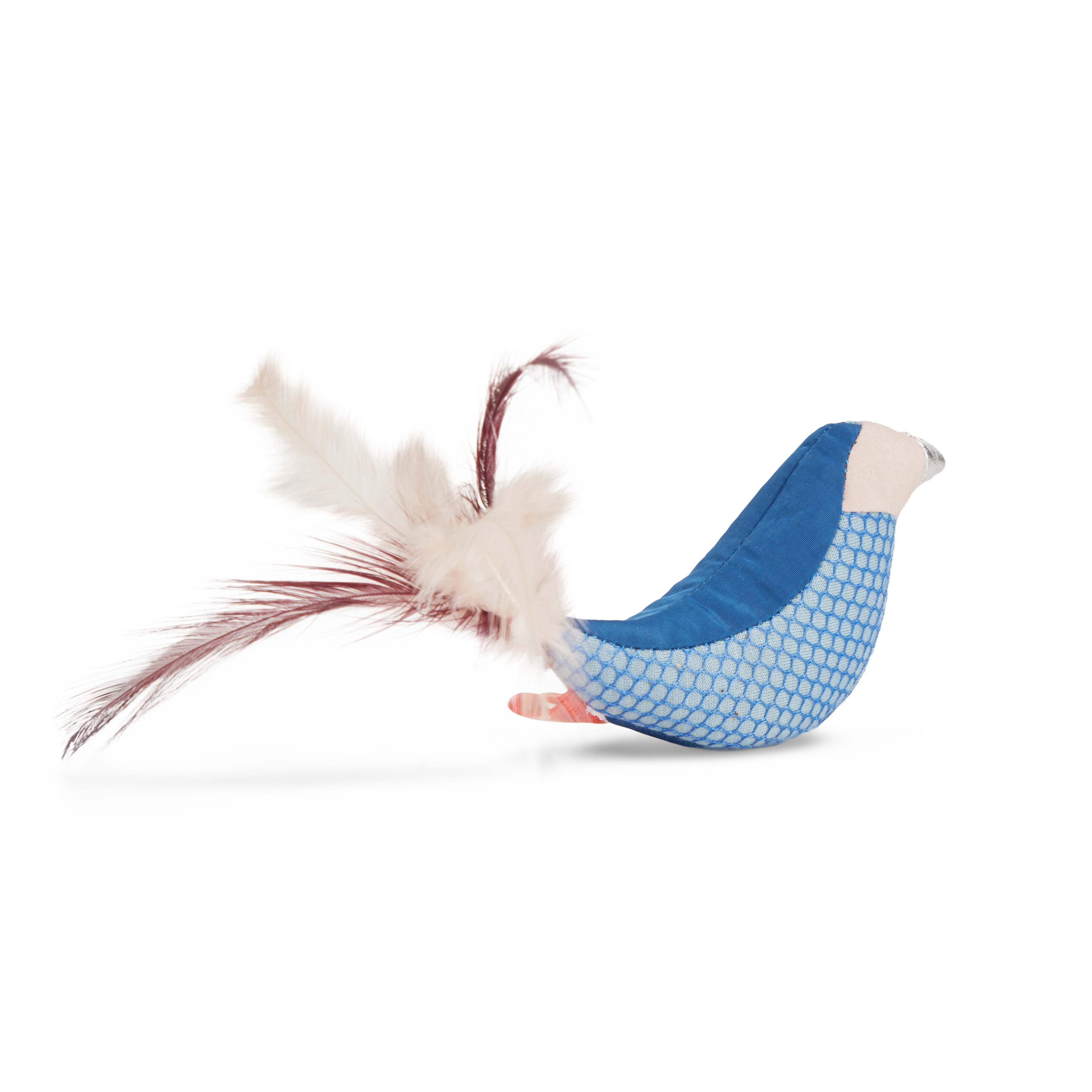 Reddy Dental Bird Cat Toy | Petco