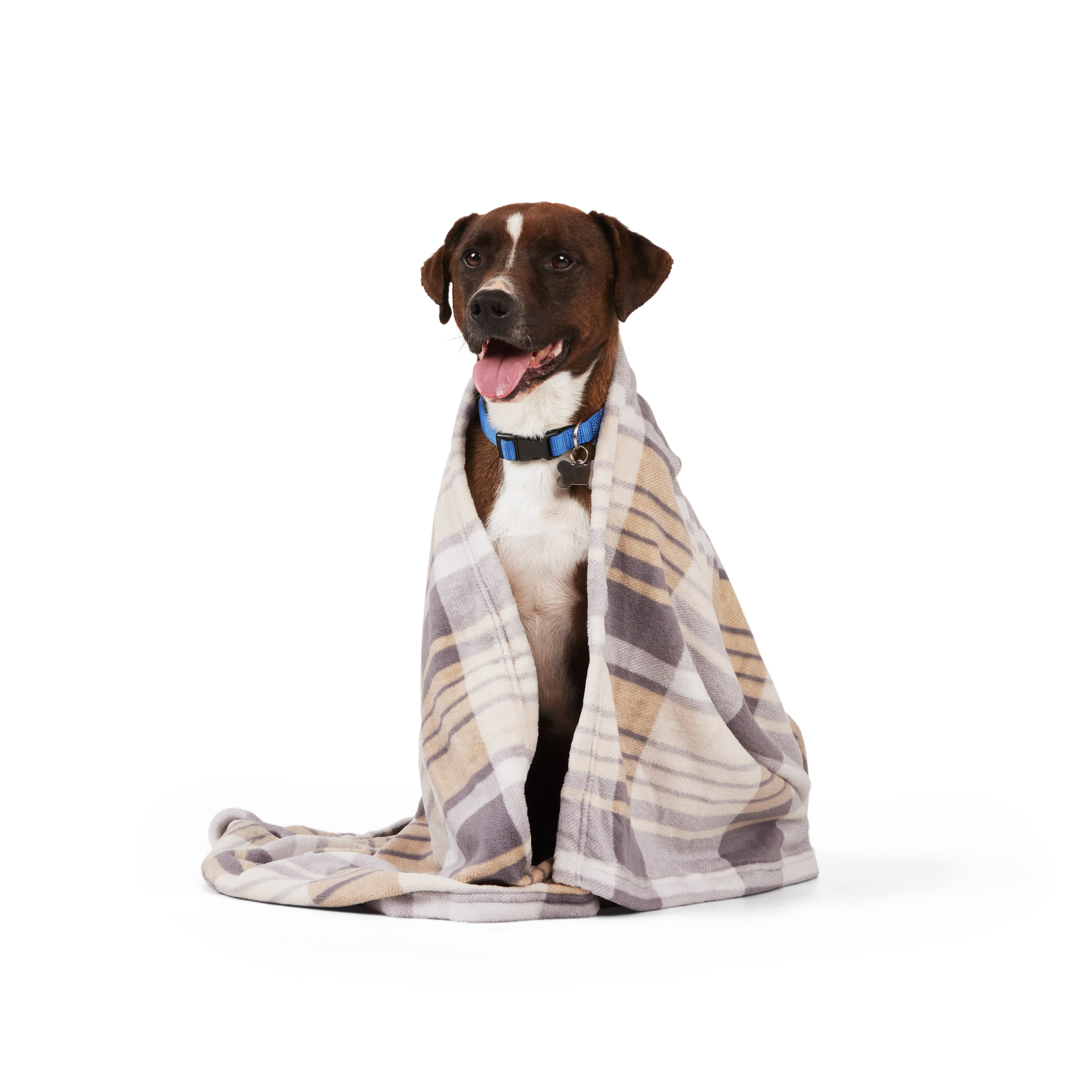 EveryYay Essentials Plaid Pet Throw 50"x40" Grey & Washable
