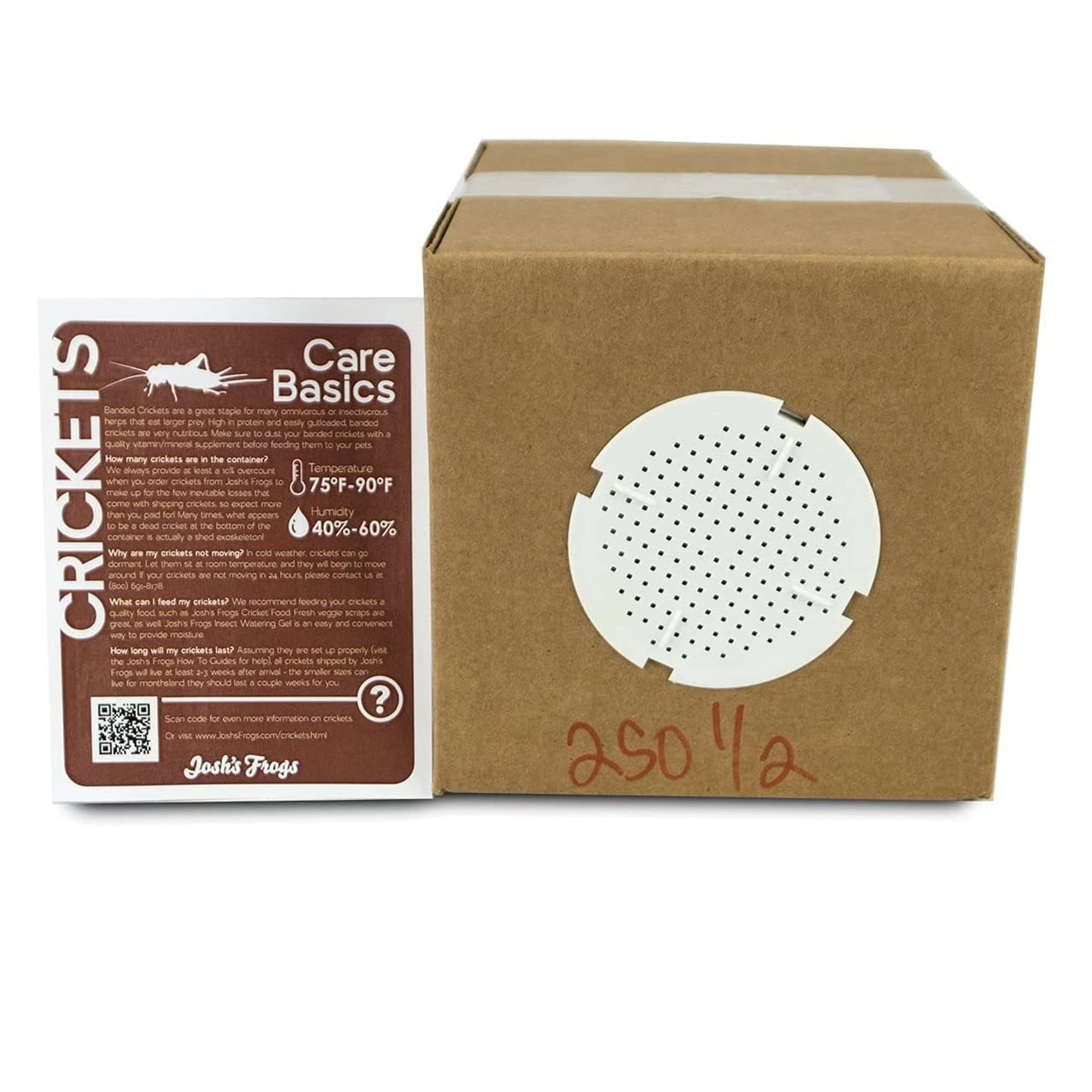 Banded Crickets For Sale | Petco