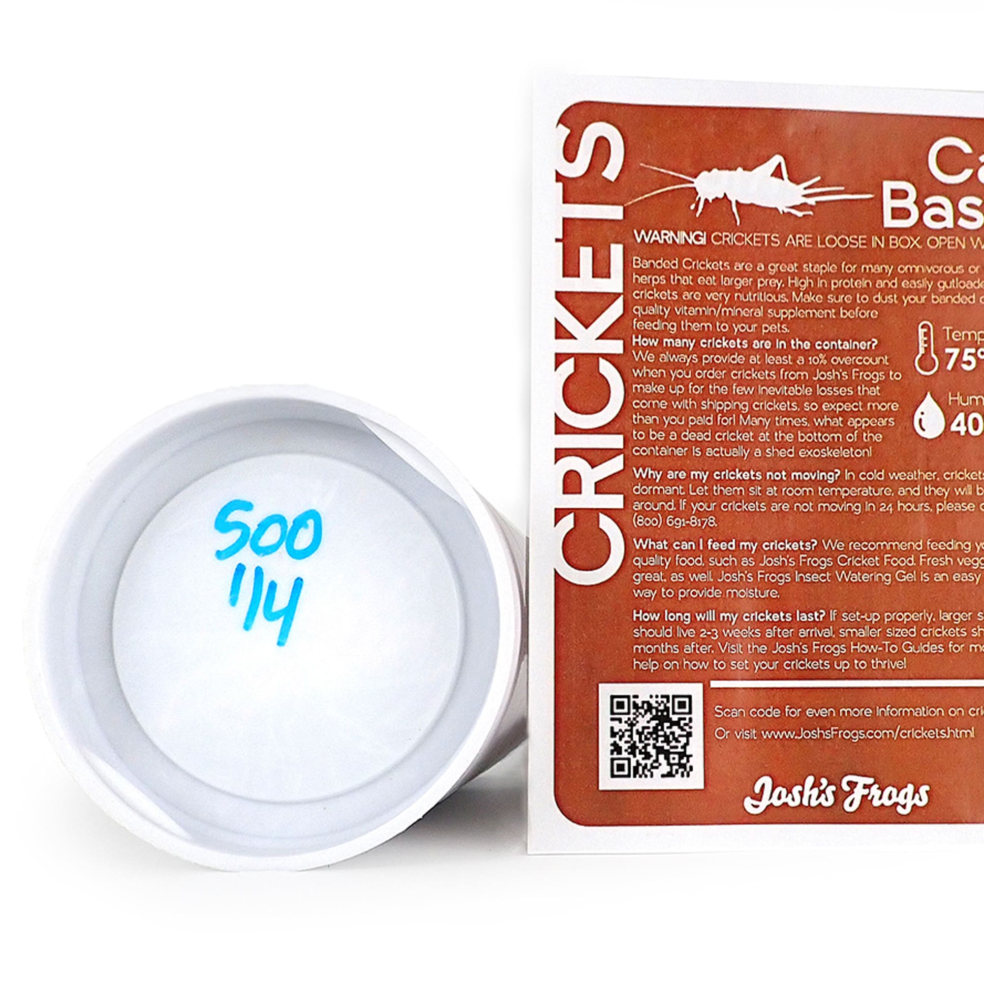 Live Insects Banded Crickets, 1/4 inch, 500 Count | Petco