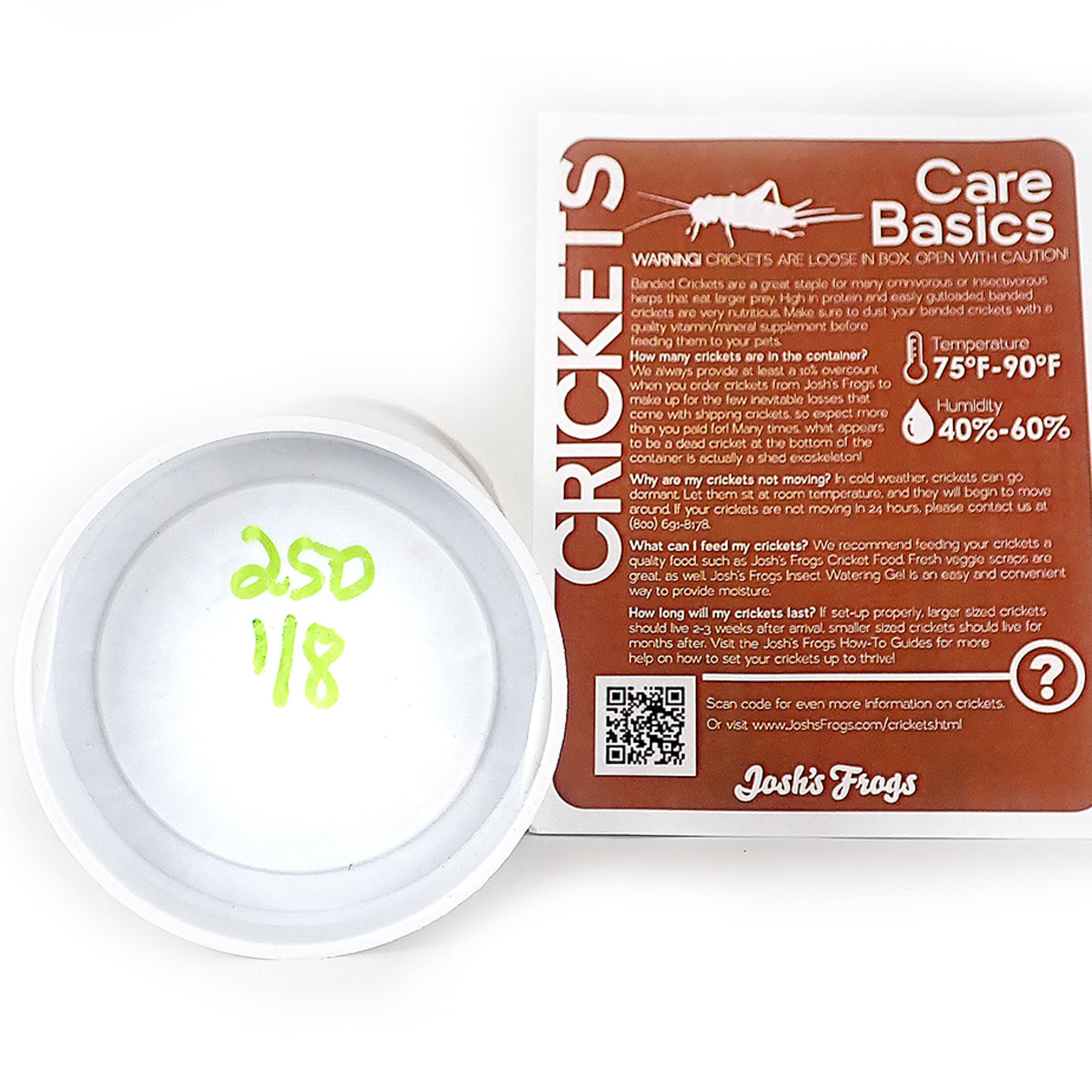 Live Insects Banded Crickets, 1/8 inch, 250 Count | Petco