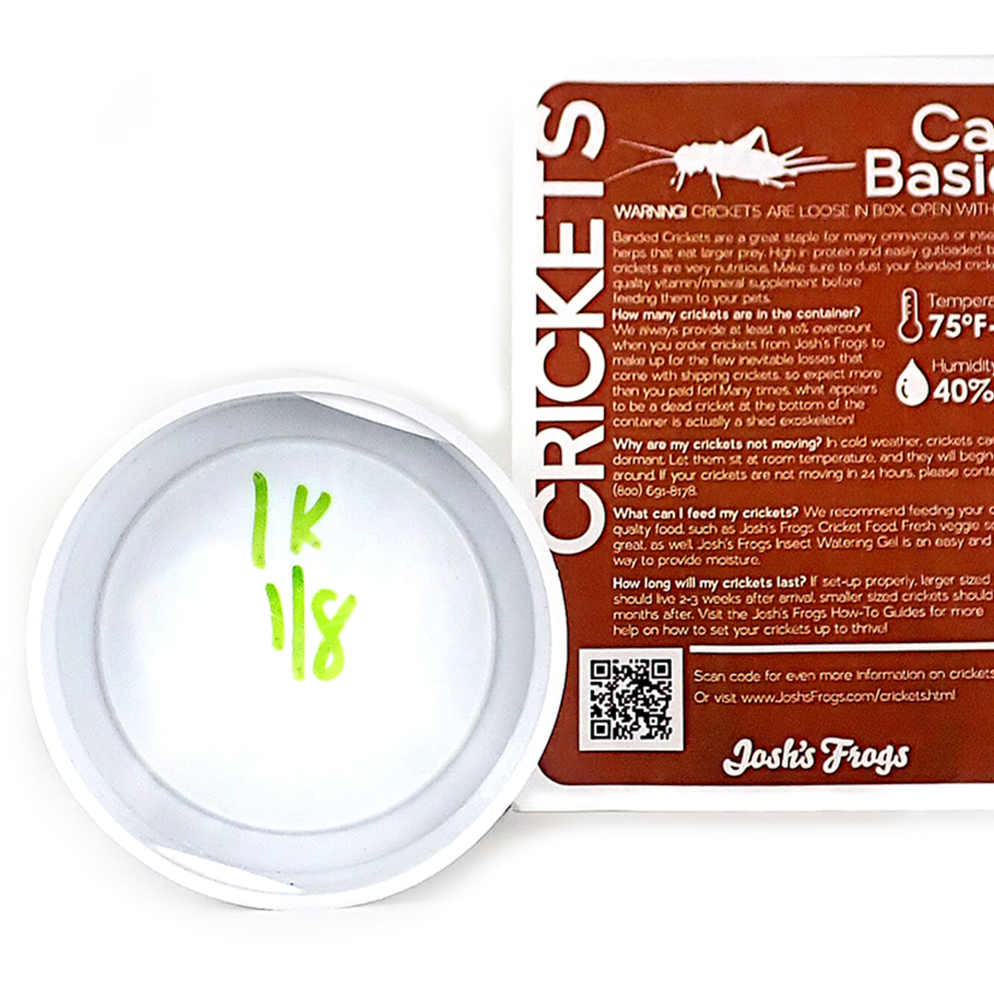 Live Insects Banded Crickets, 1/8 inch, 1000 Count | Petco