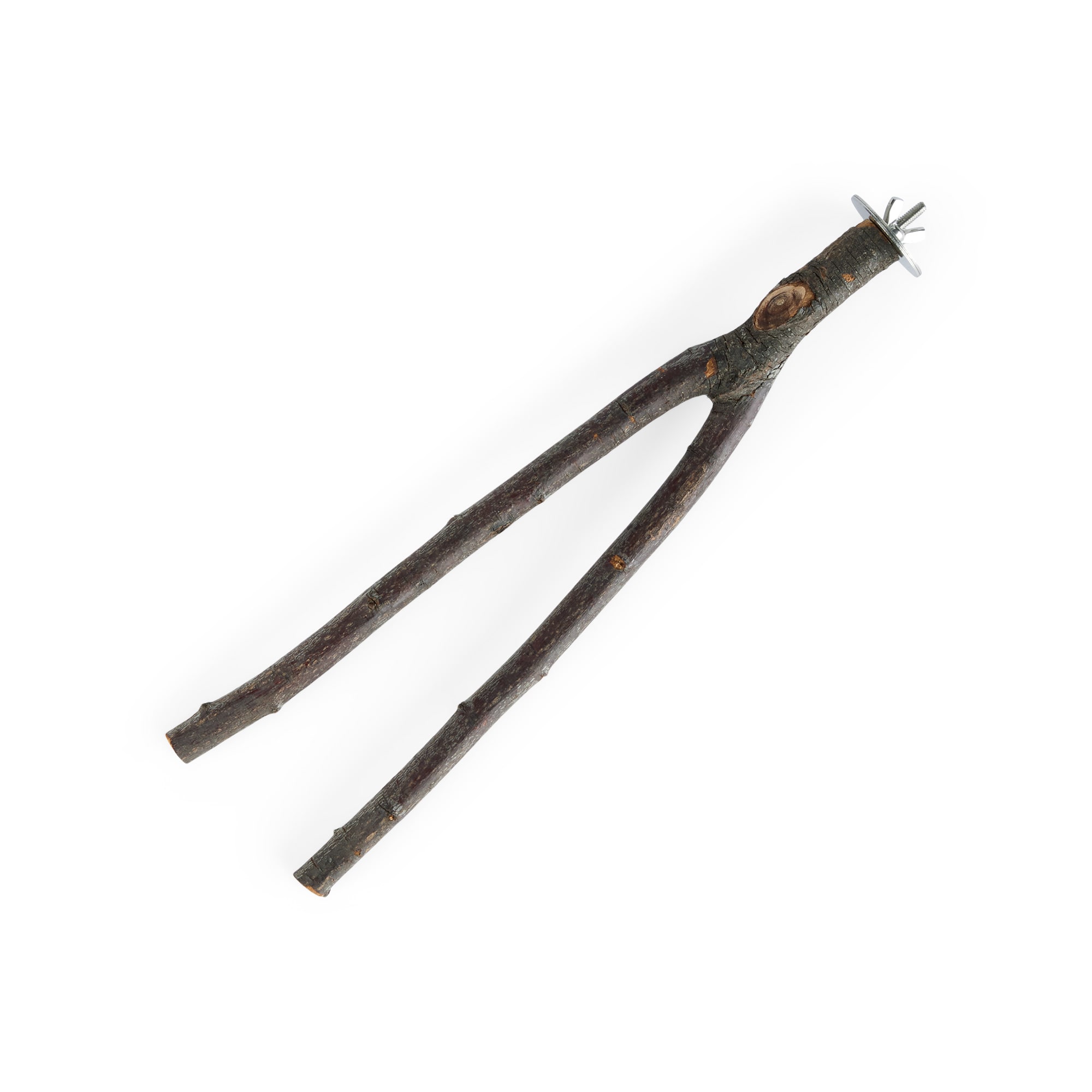 You & Me Bird Manzanita Wood Multi-Branch Bird Perch Toy, Medium | Petco