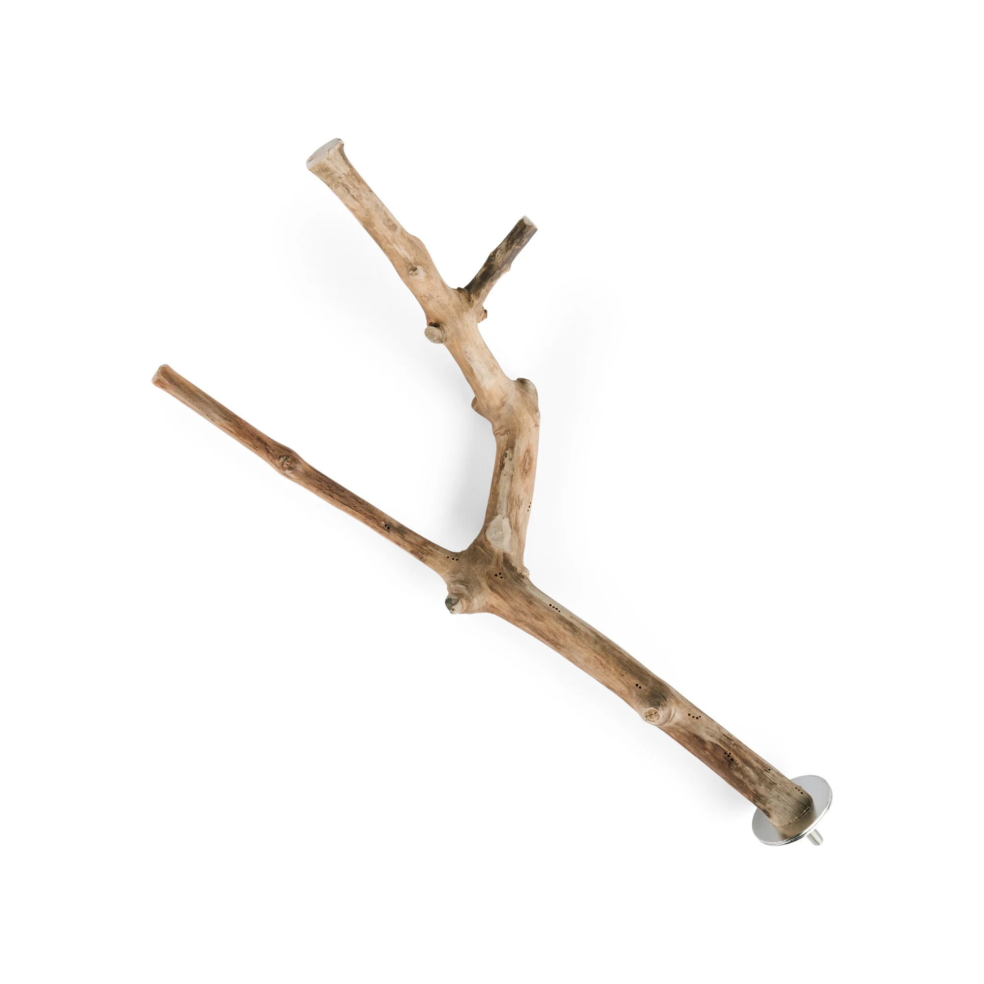 You & Me Java Wood Multi-Branch Perch Toy, X-Small | Petco