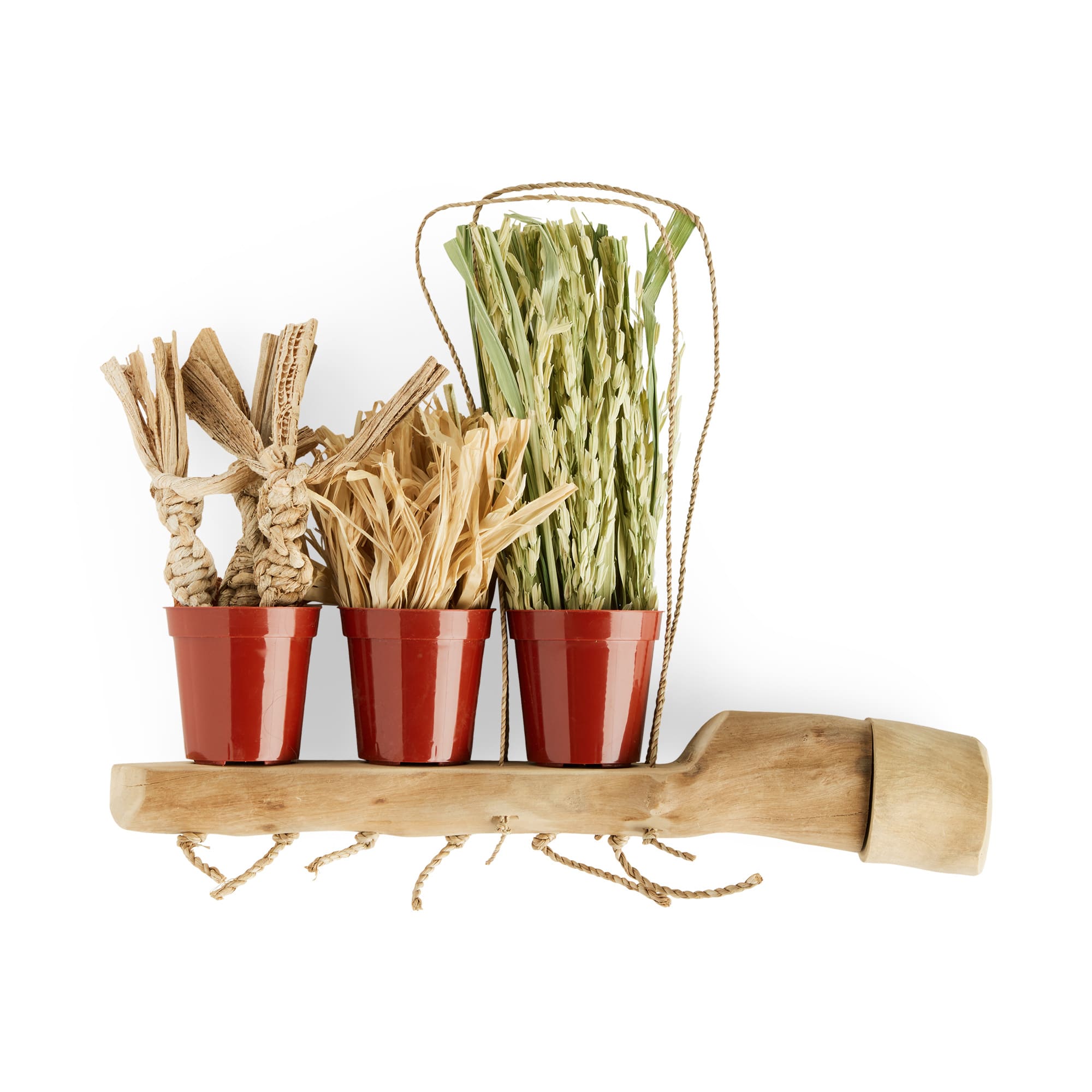 You & Me Plant Trio Toy, Medium | Petco