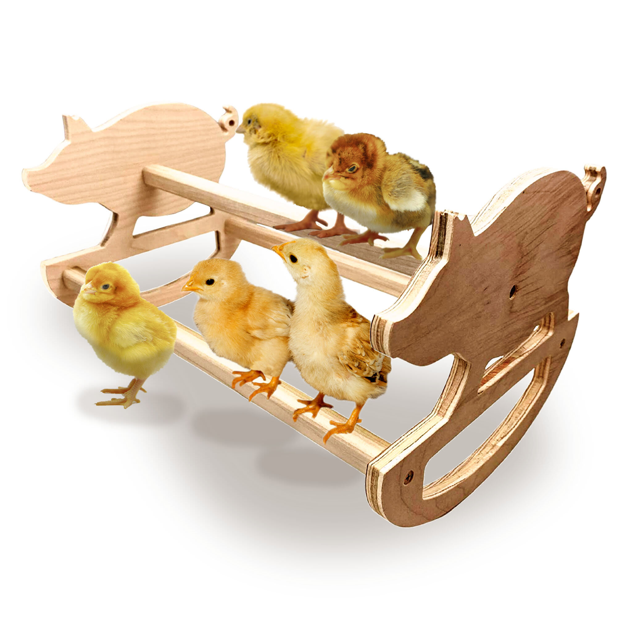 Backyard Barnyard Pig Bird Perch Rocker, 14.75" L X 8" W X 8" H | Petco