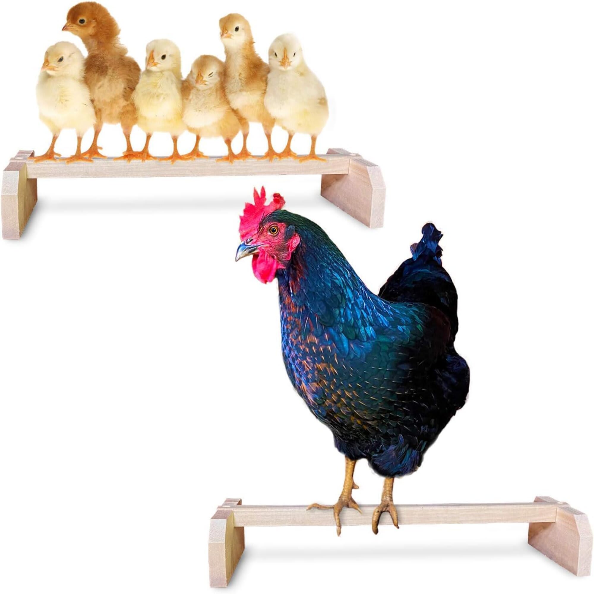 Backyard Barnyard Chicken Perch for Bird, 15.5" L X 5.75" W X 2.5" H ...