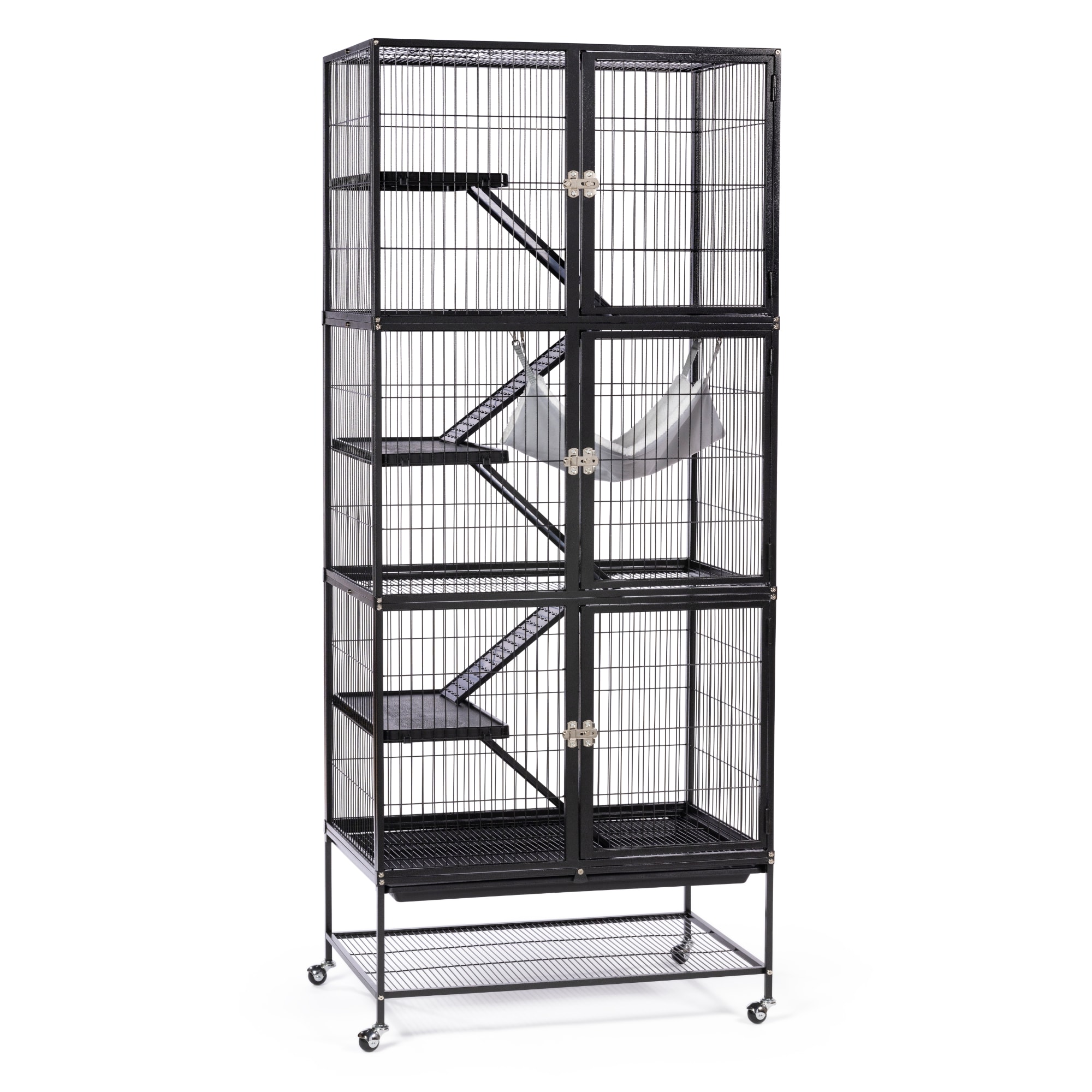Ferret for sale with cage store