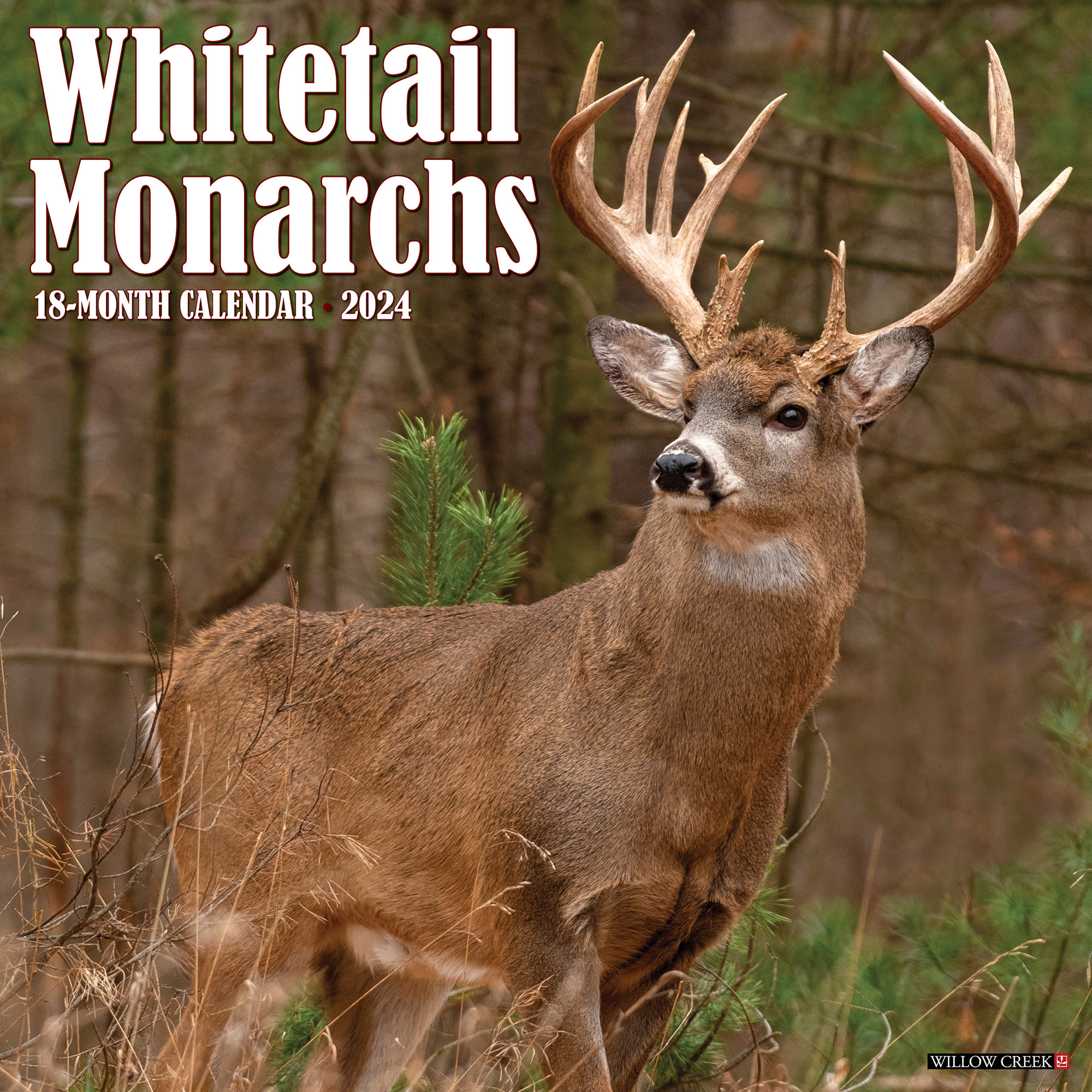Willow Creek Press Whitetail Monarchs 2024 Wall Calendar 12 L X 12 W